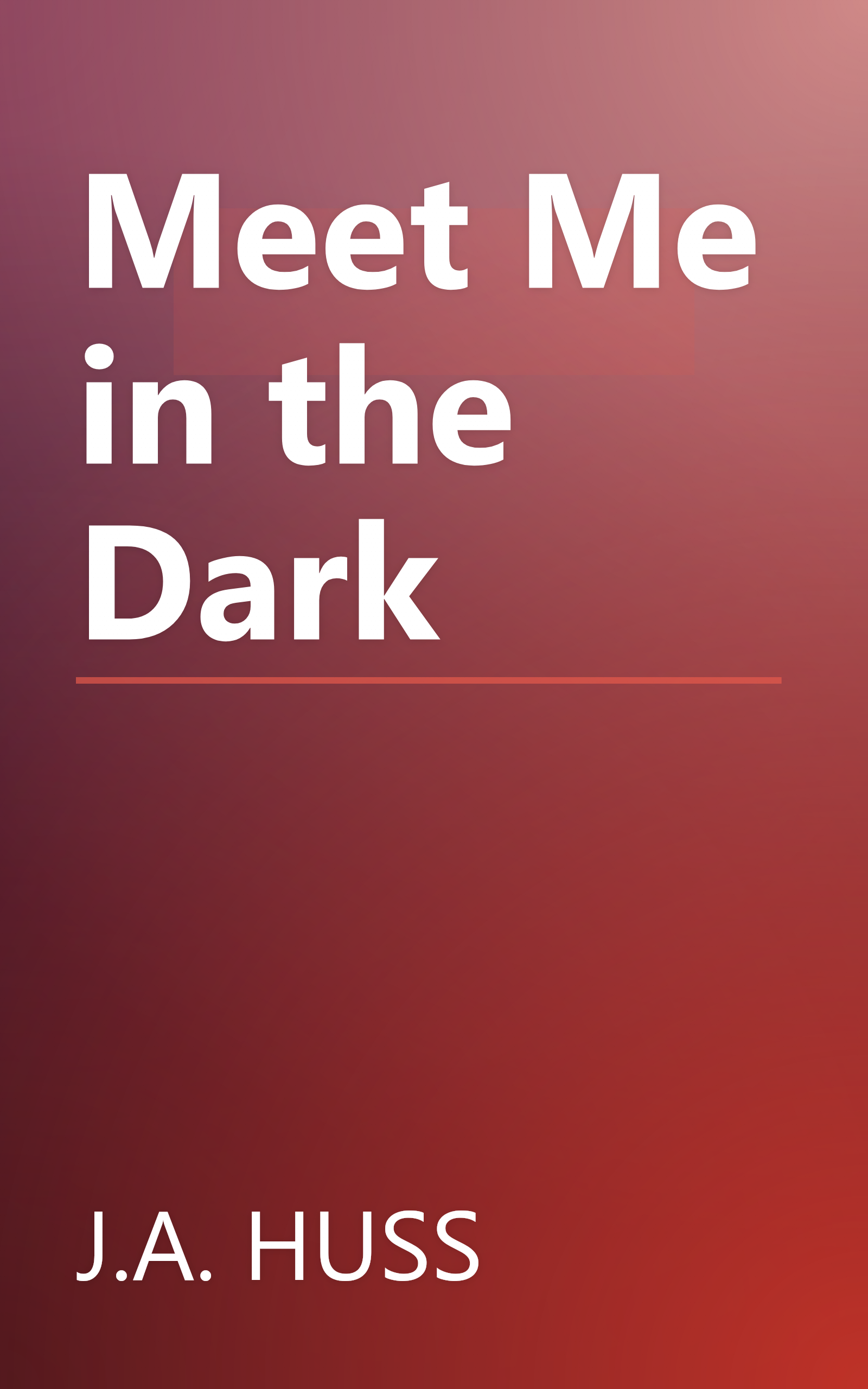 Meet Me in the Dark book cover