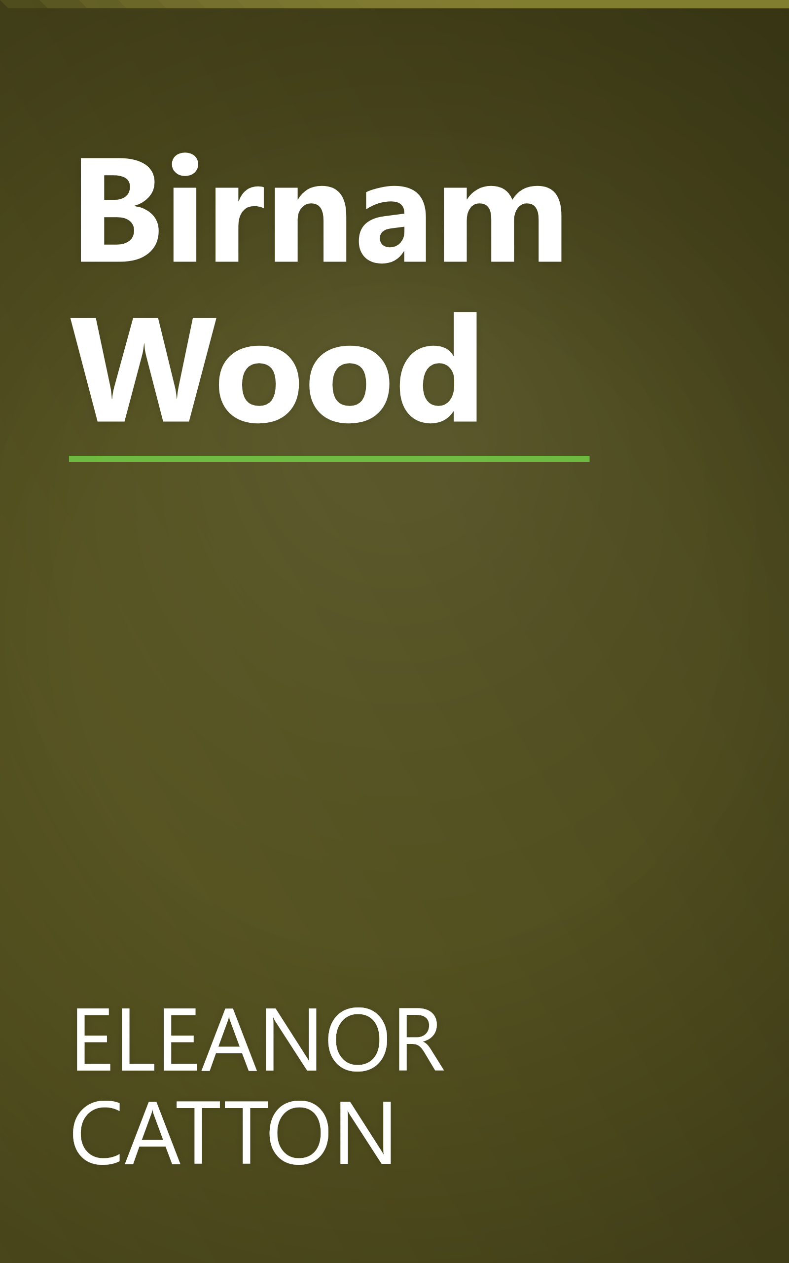 Birnam Wood book cover