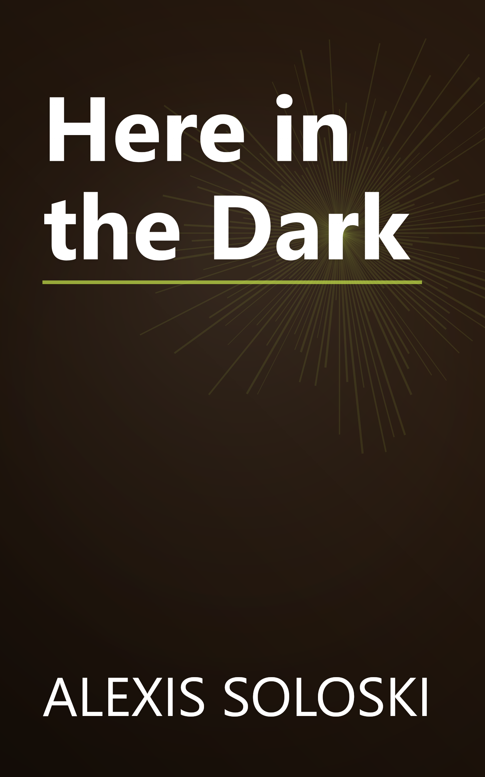Here in the Dark book cover