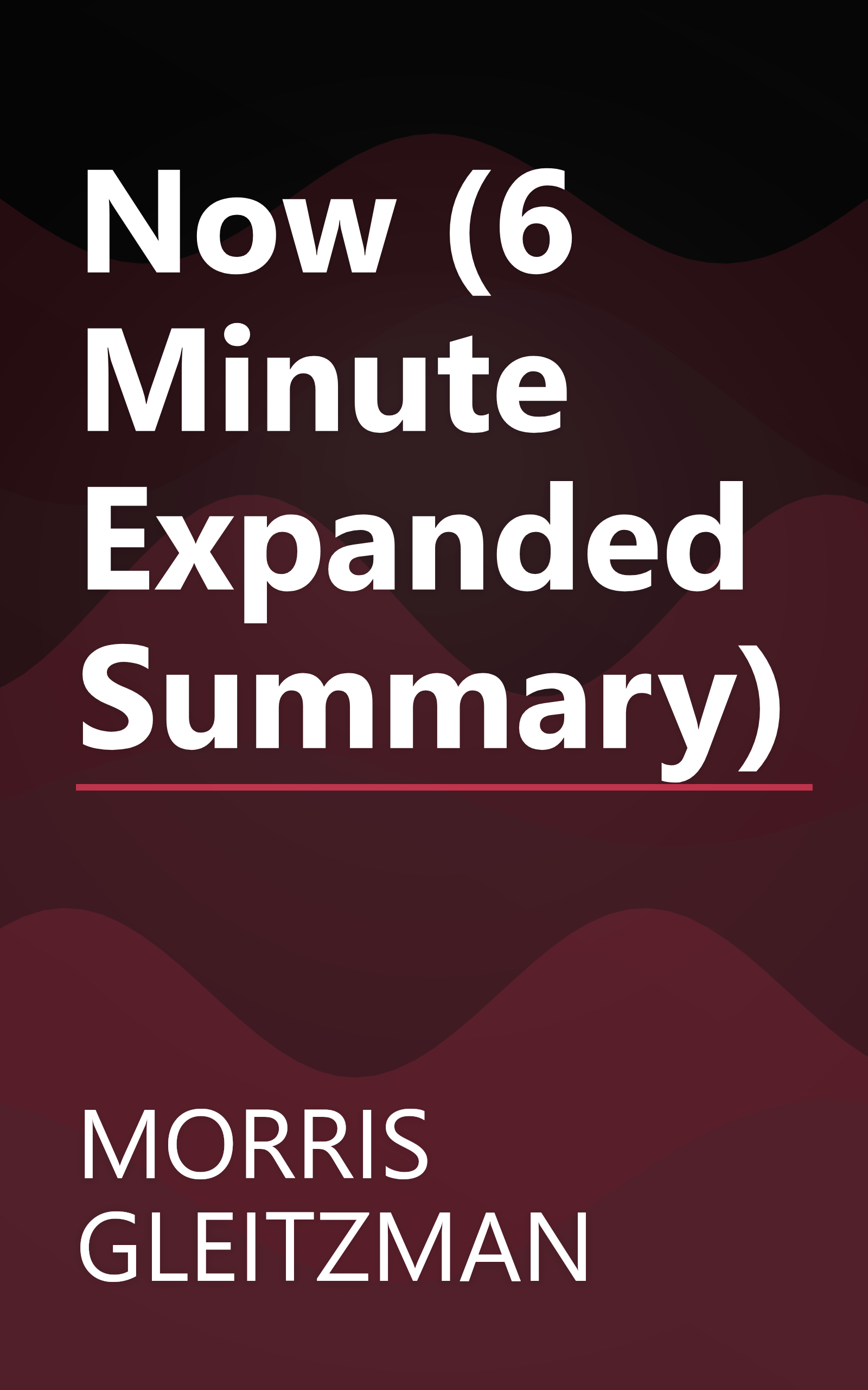 Now (6 Minute   Expanded Summary) book cover