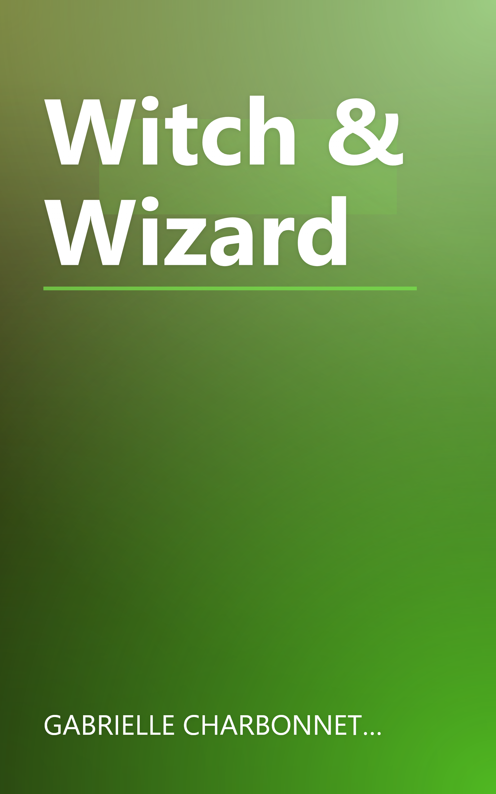Witch & Wizard book cover