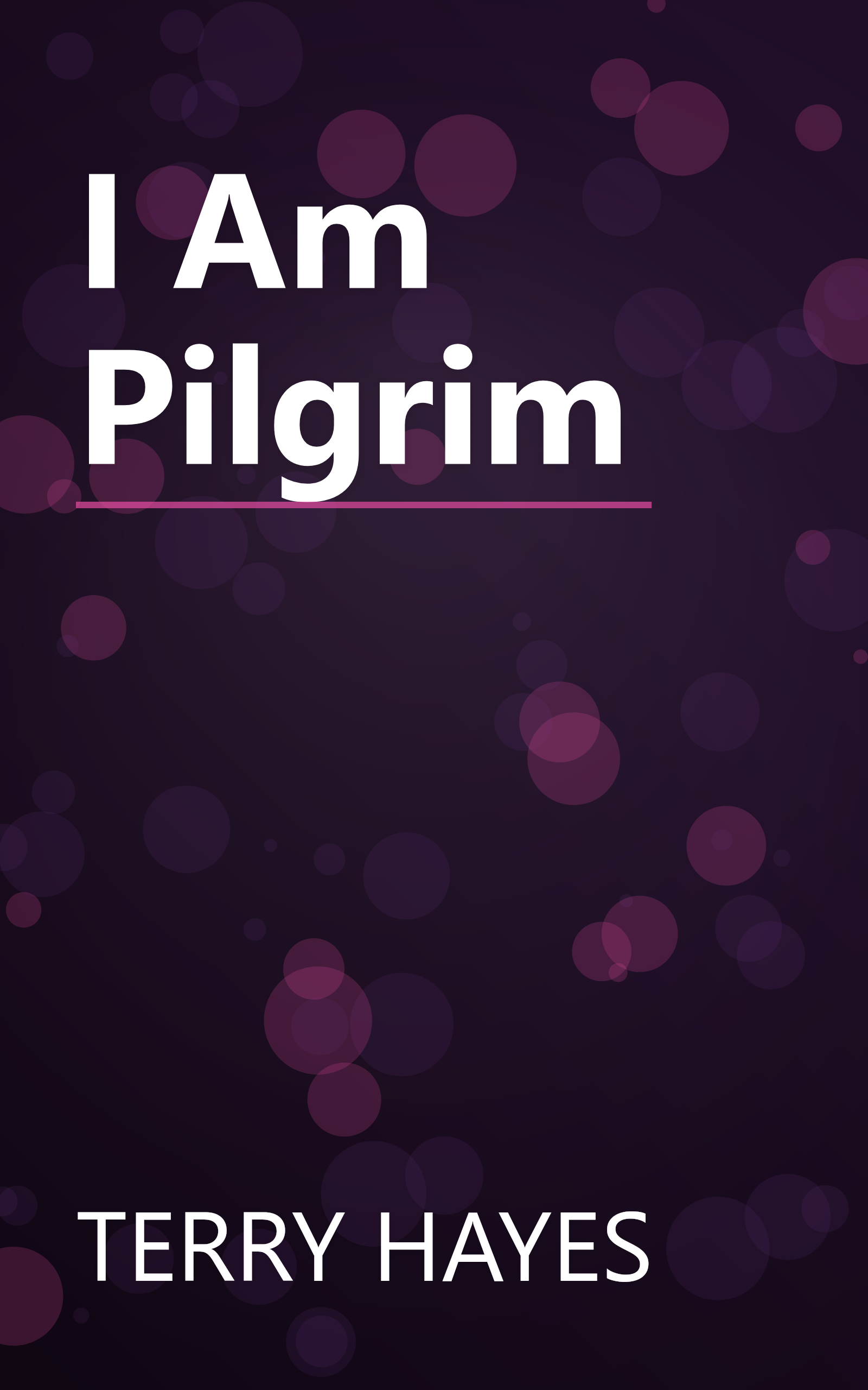 I Am Pilgrim book cover