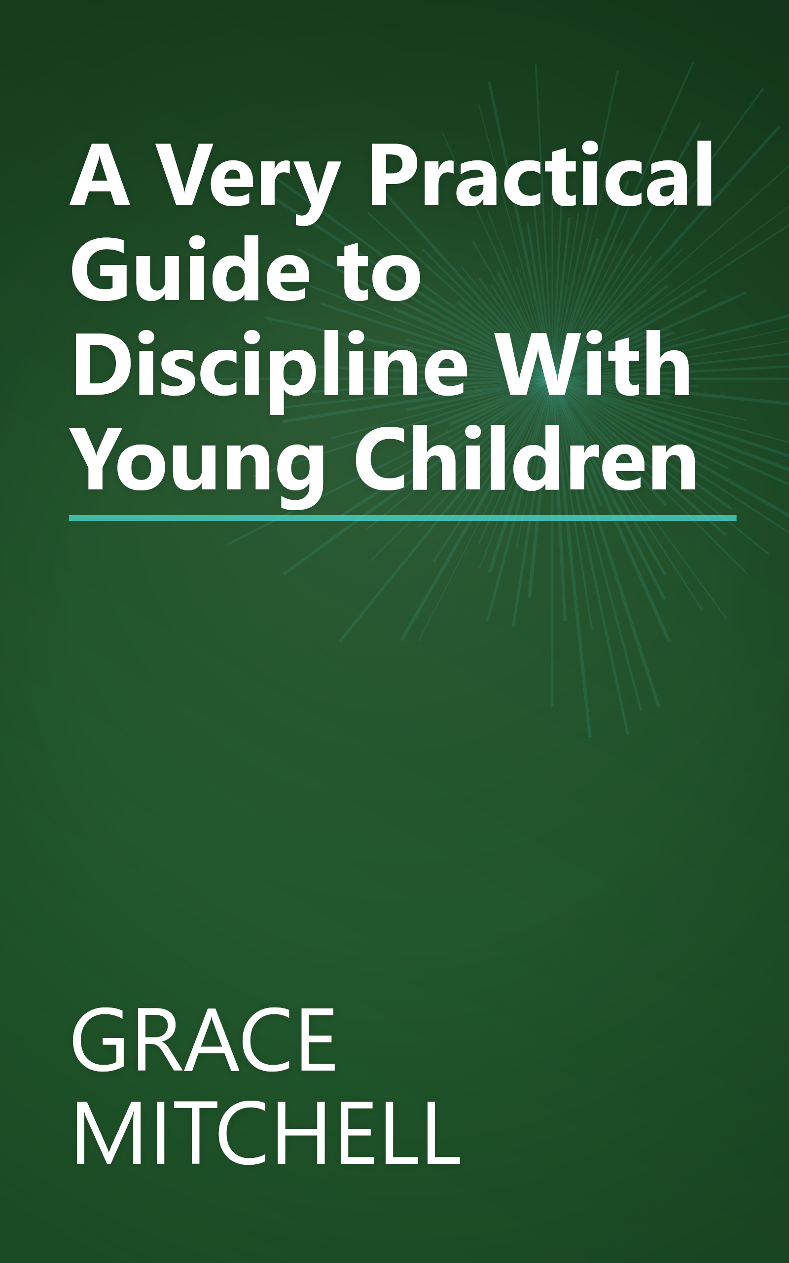 A Very Practical Guide to Discipline With Young Children book cover