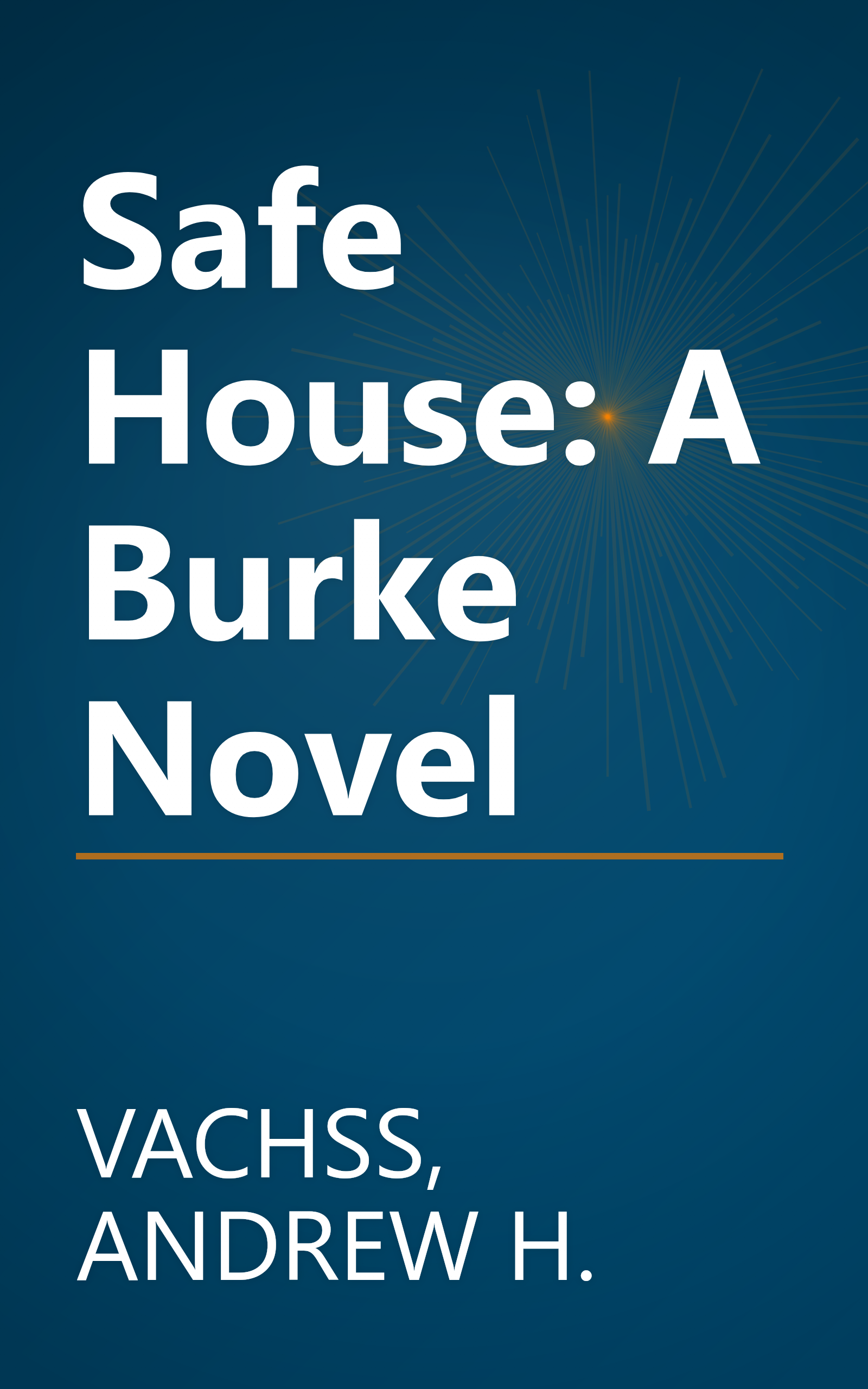 Safe House: A Burke Novel book cover