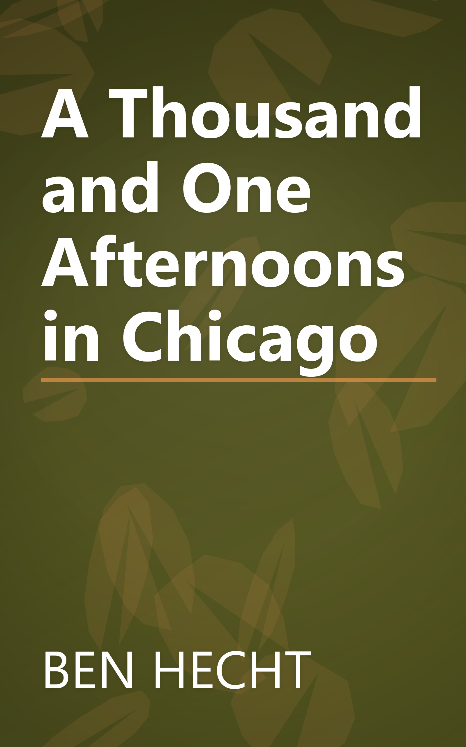 A Thousand and One Afternoons in Chicago book cover