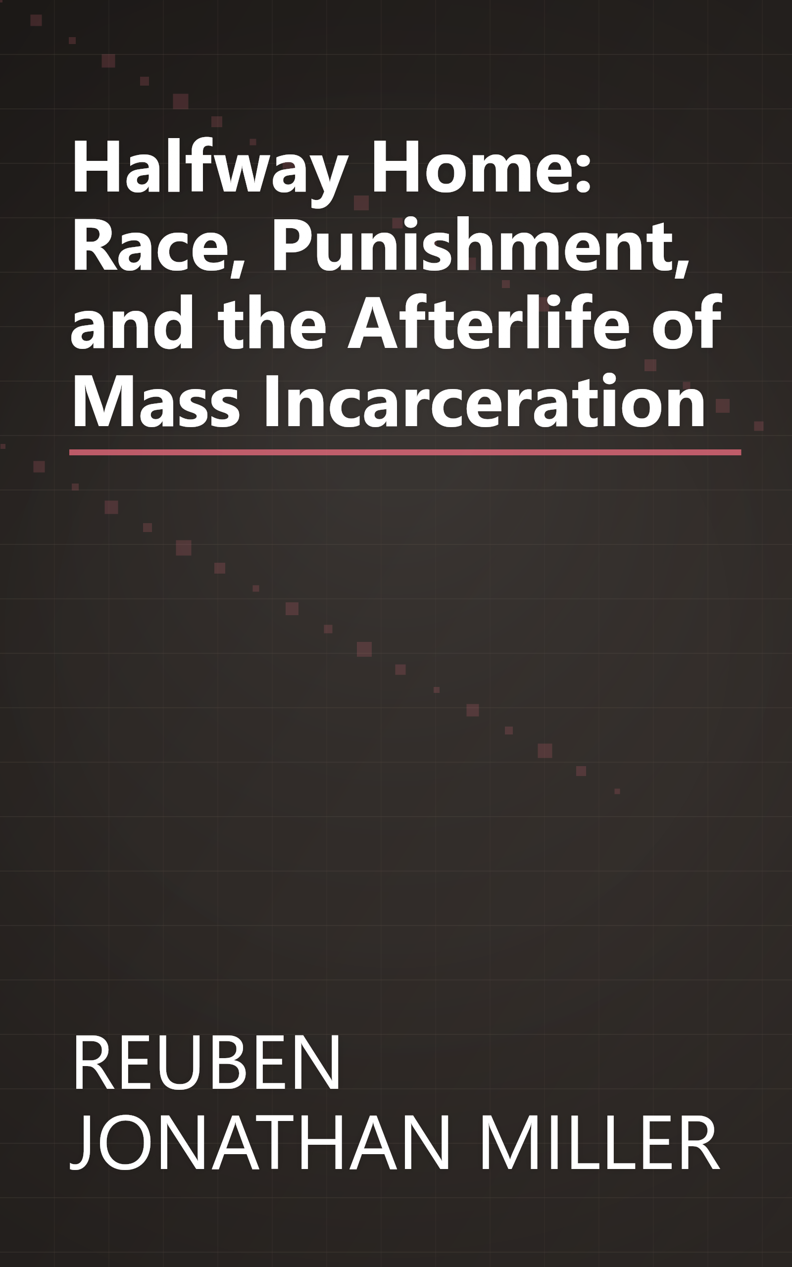 Halfway Home: Race, Punishment, and the Afterlife of Mass Incarceration book cover