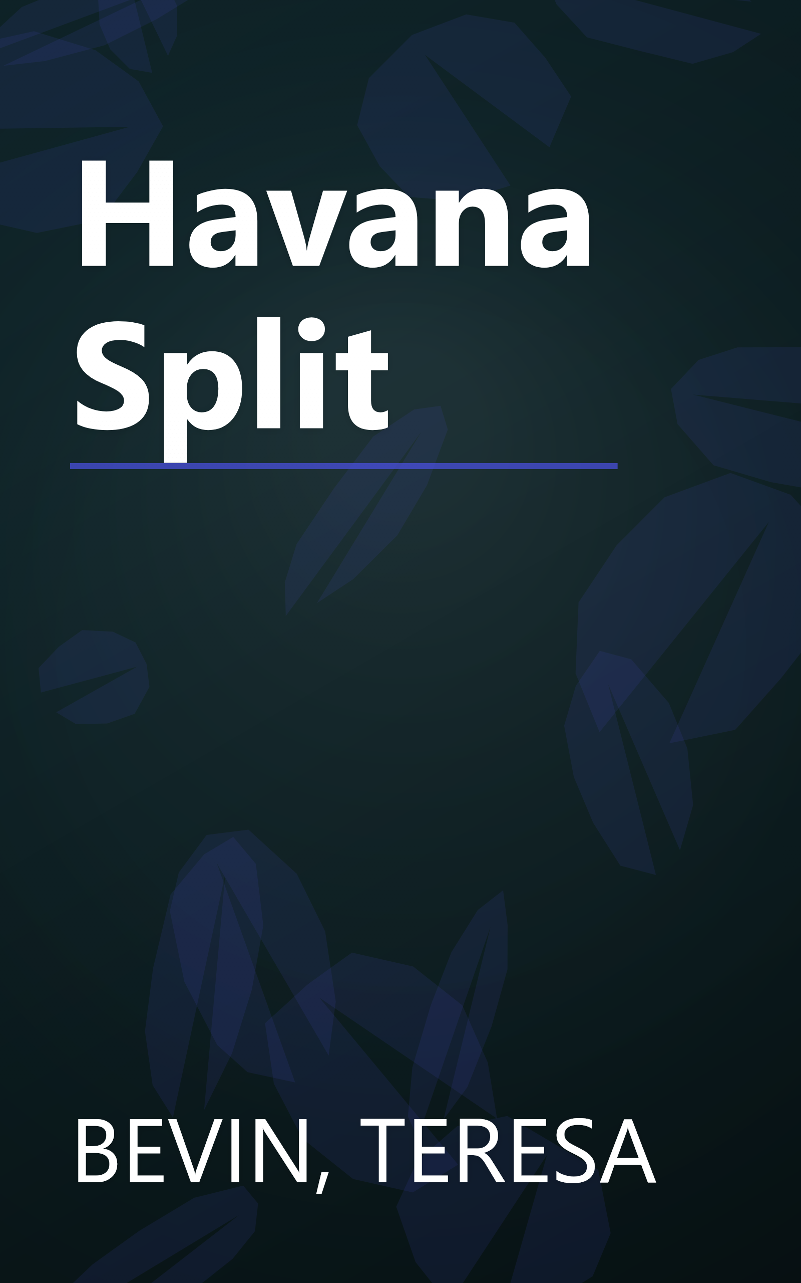 Havana Split book cover