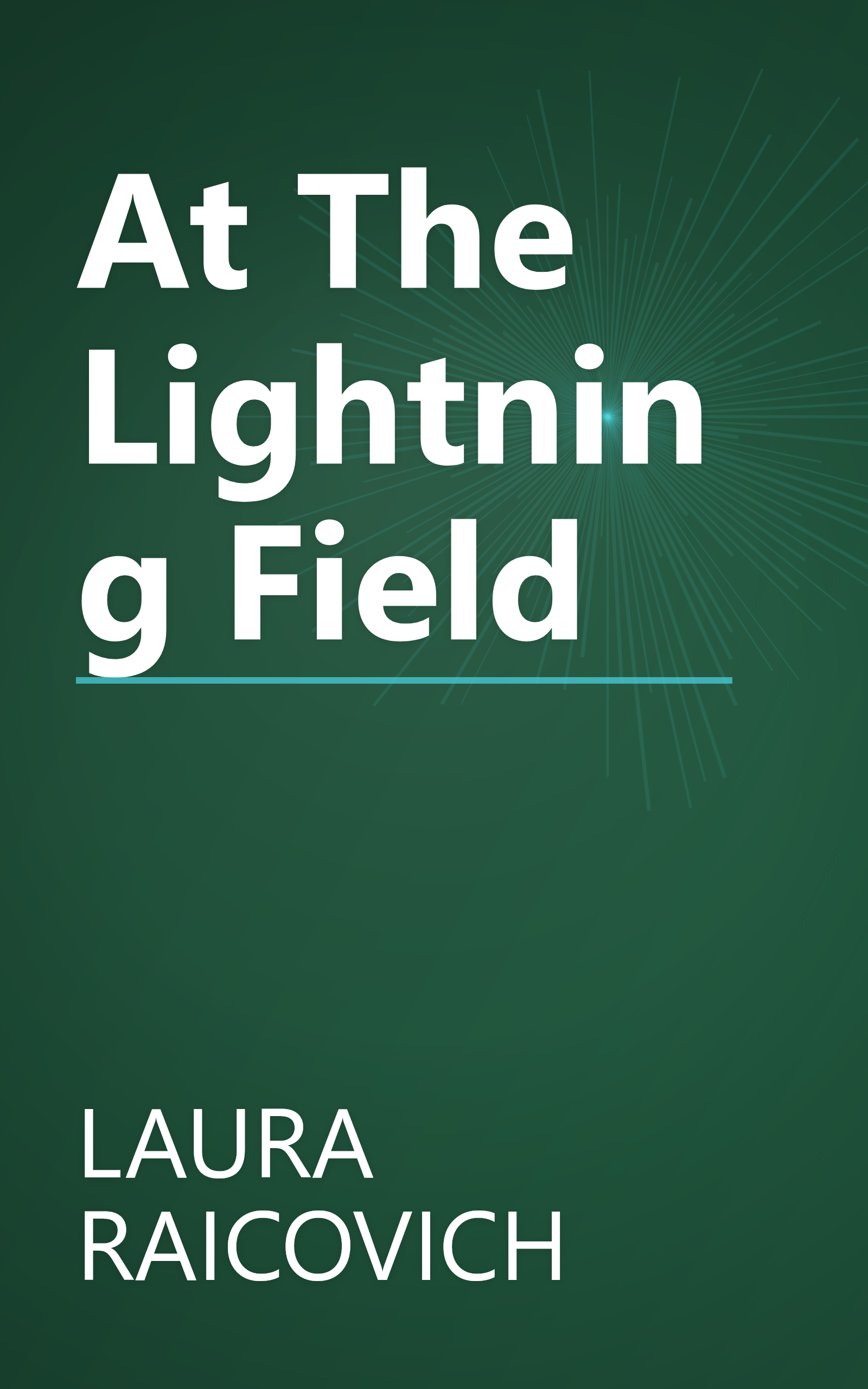 At The Lightning Field book cover