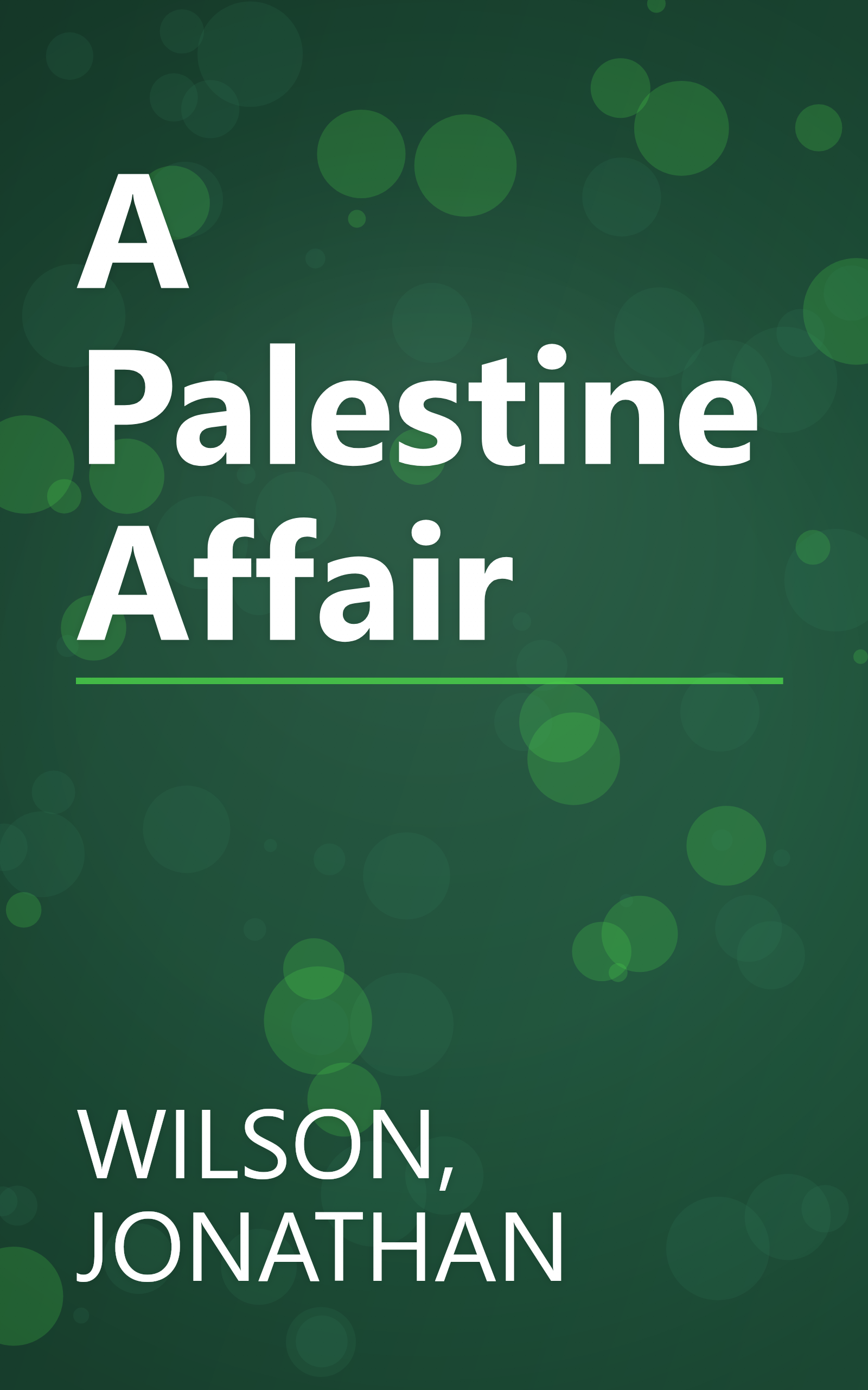 A Palestine Affair book cover