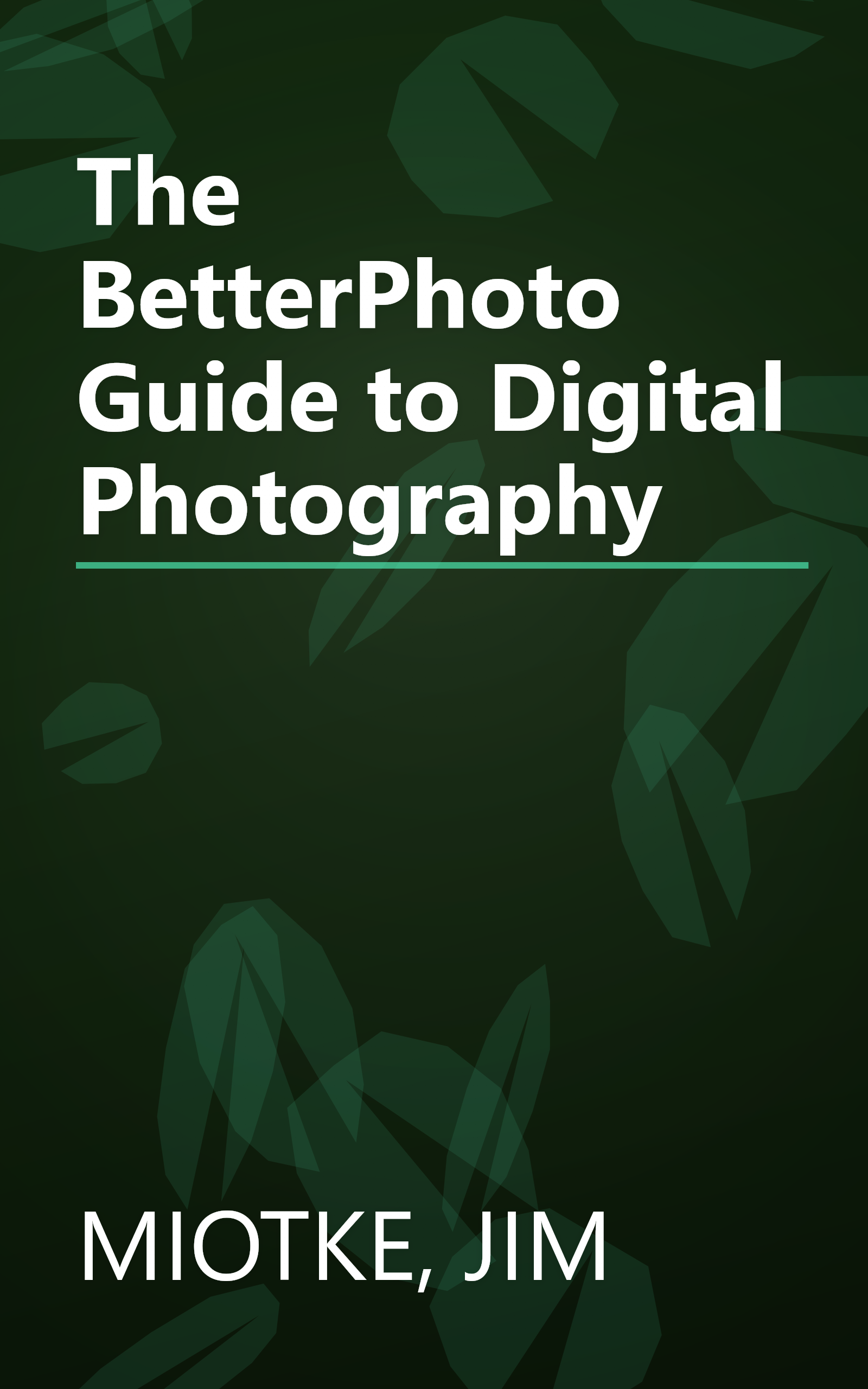 The BetterPhoto Guide to Digital Photography book cover