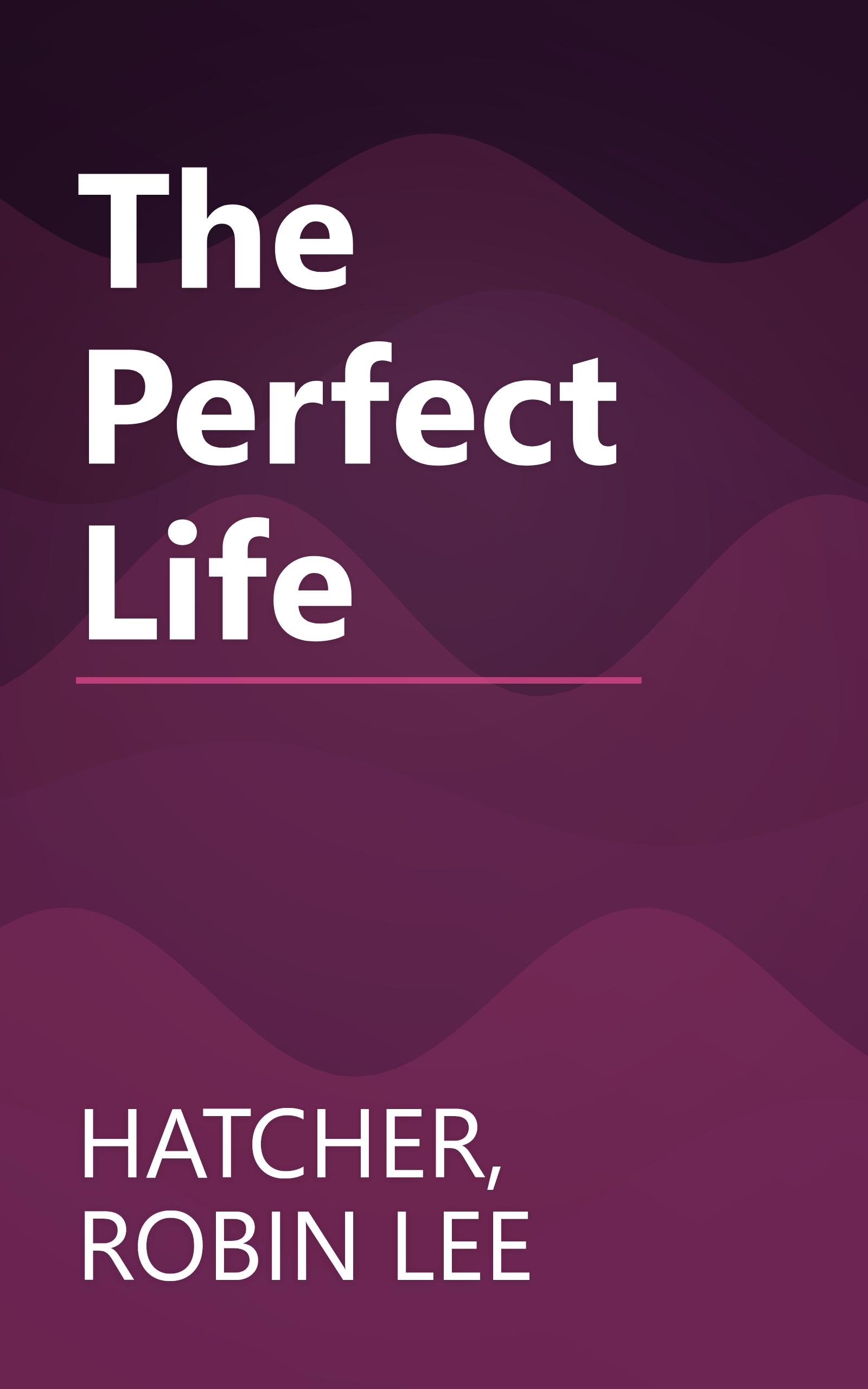 The Perfect Life book cover