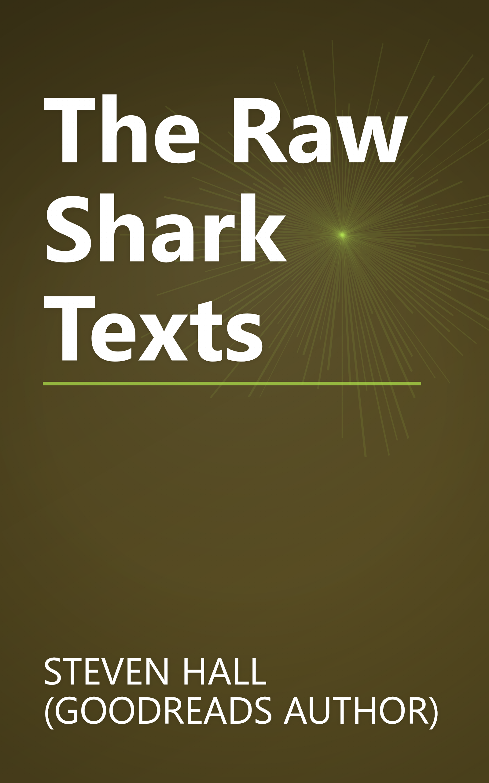 The Raw Shark Texts book cover