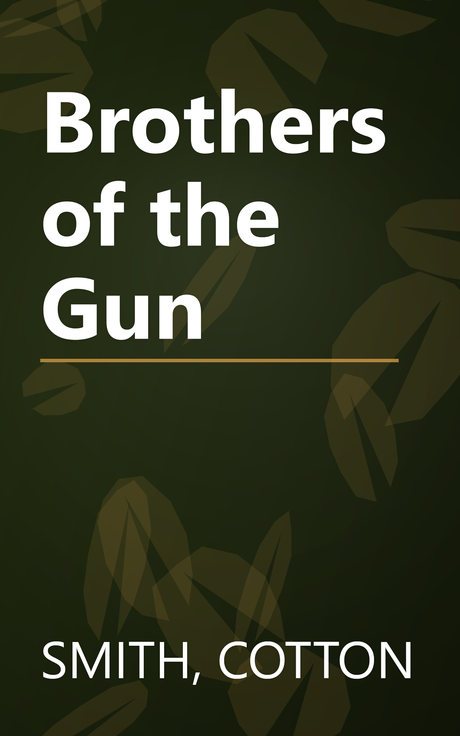 Brothers of the Gun book cover