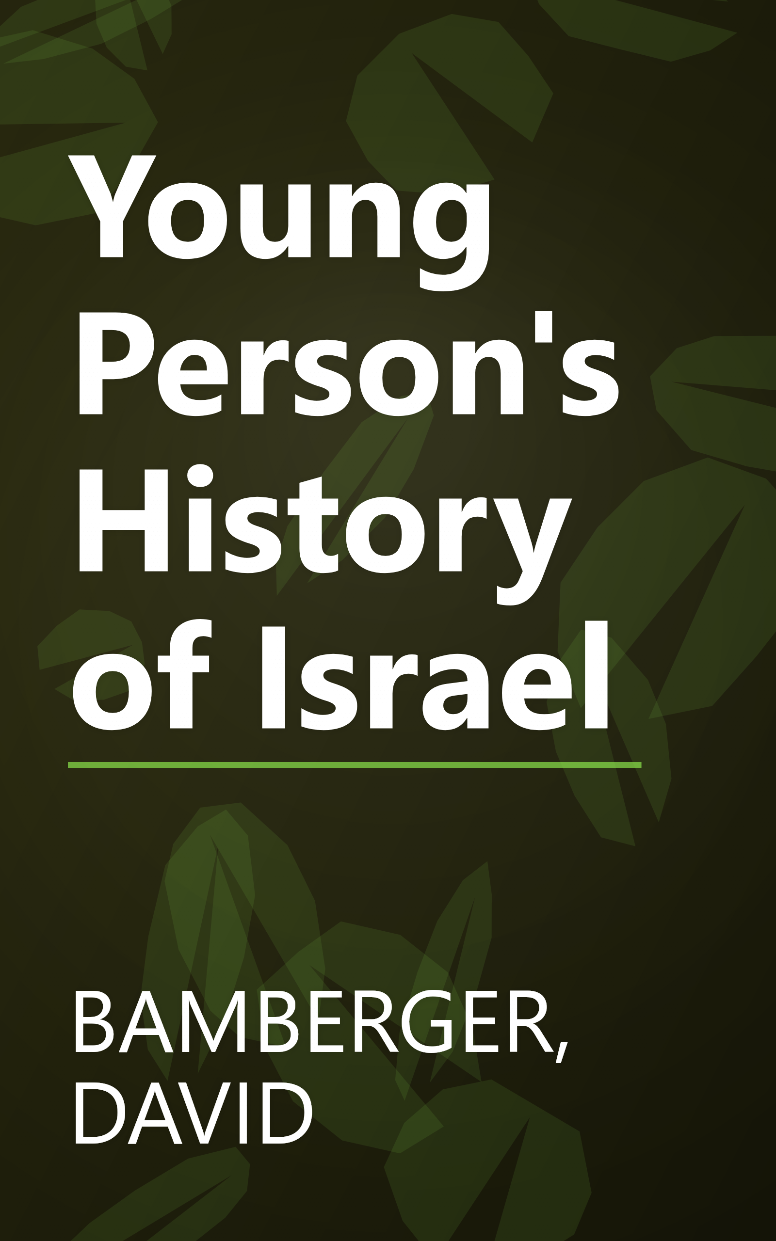 Young Person's History of Israel book cover