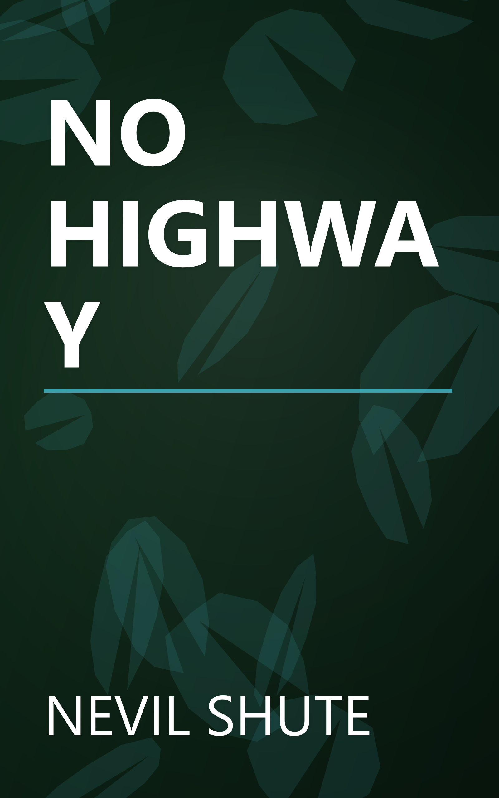 NO HIGHWAY book cover