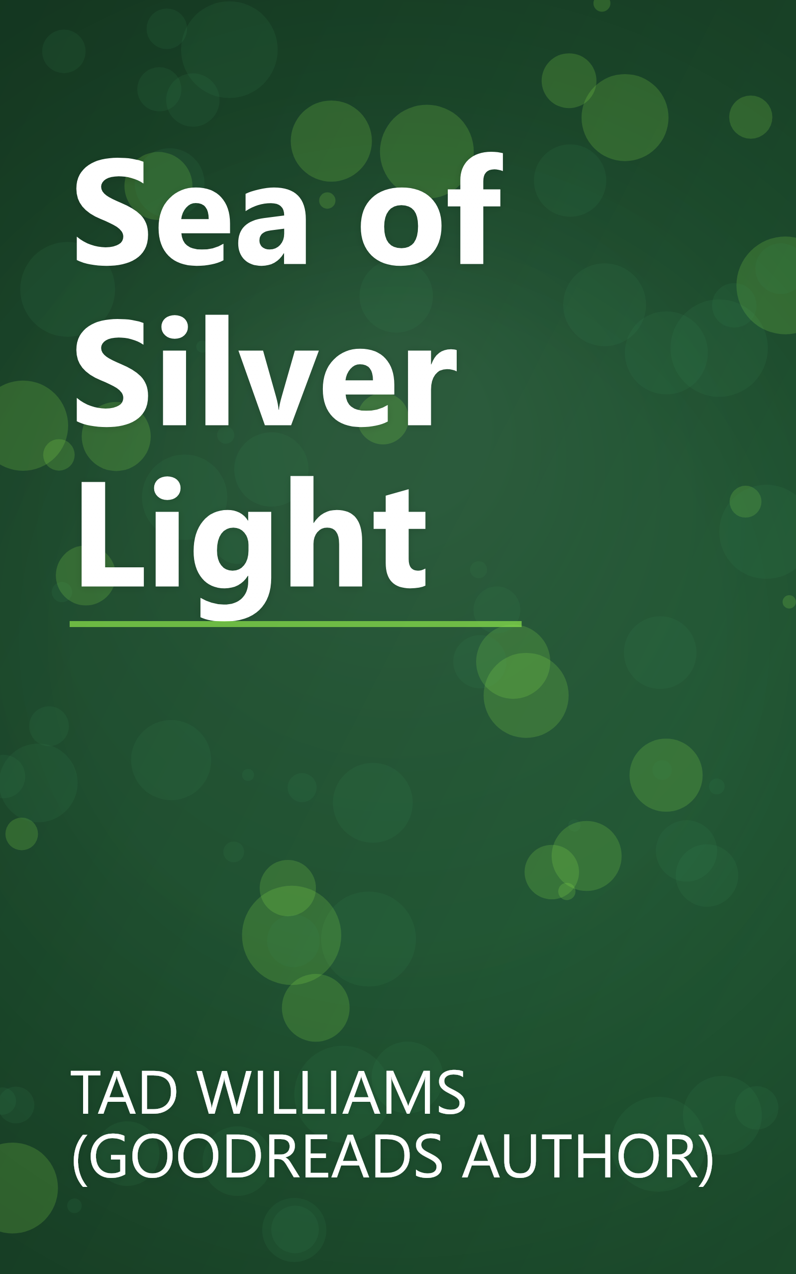 Sea of Silver Light book cover