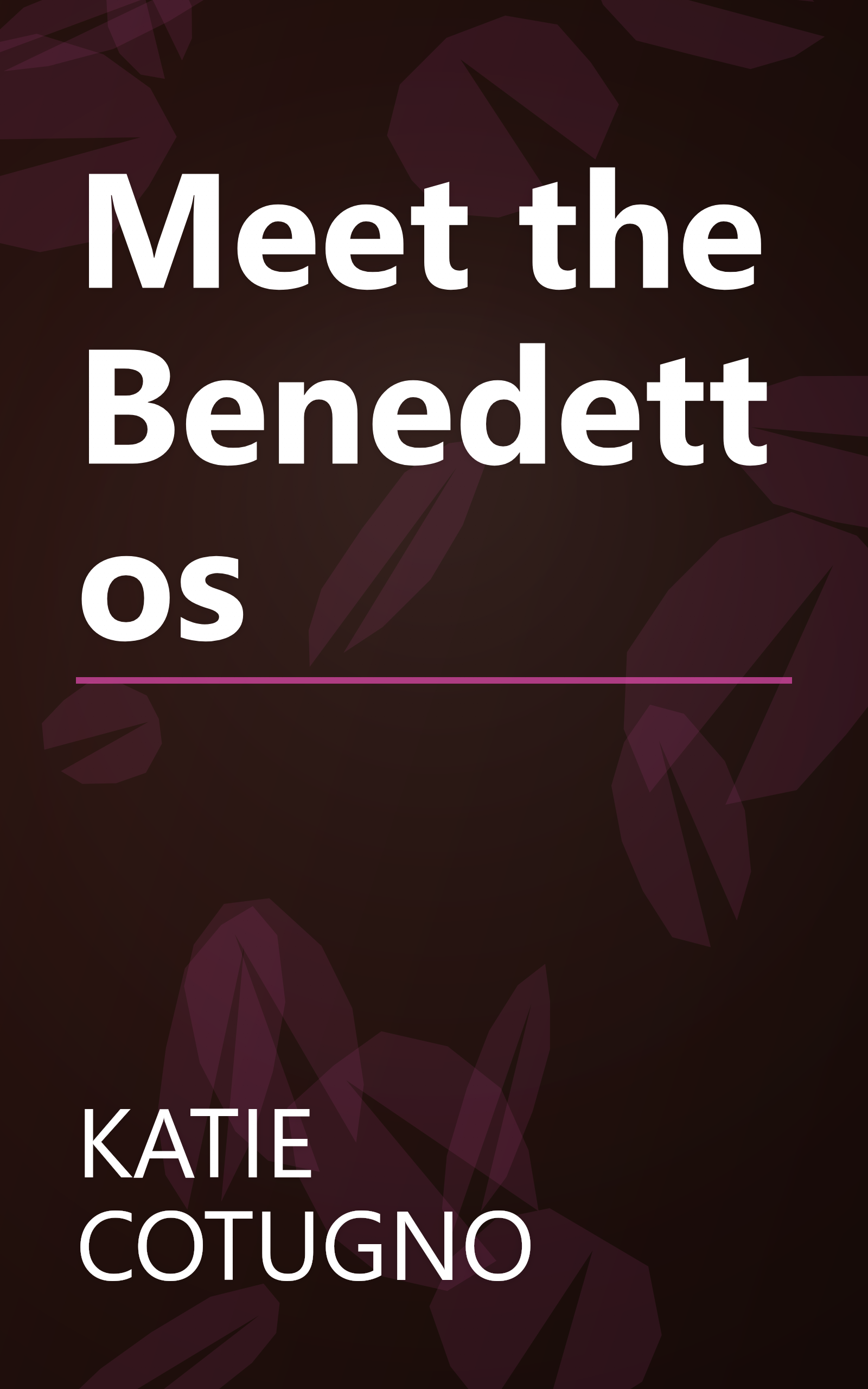 Meet the Benedettos book cover