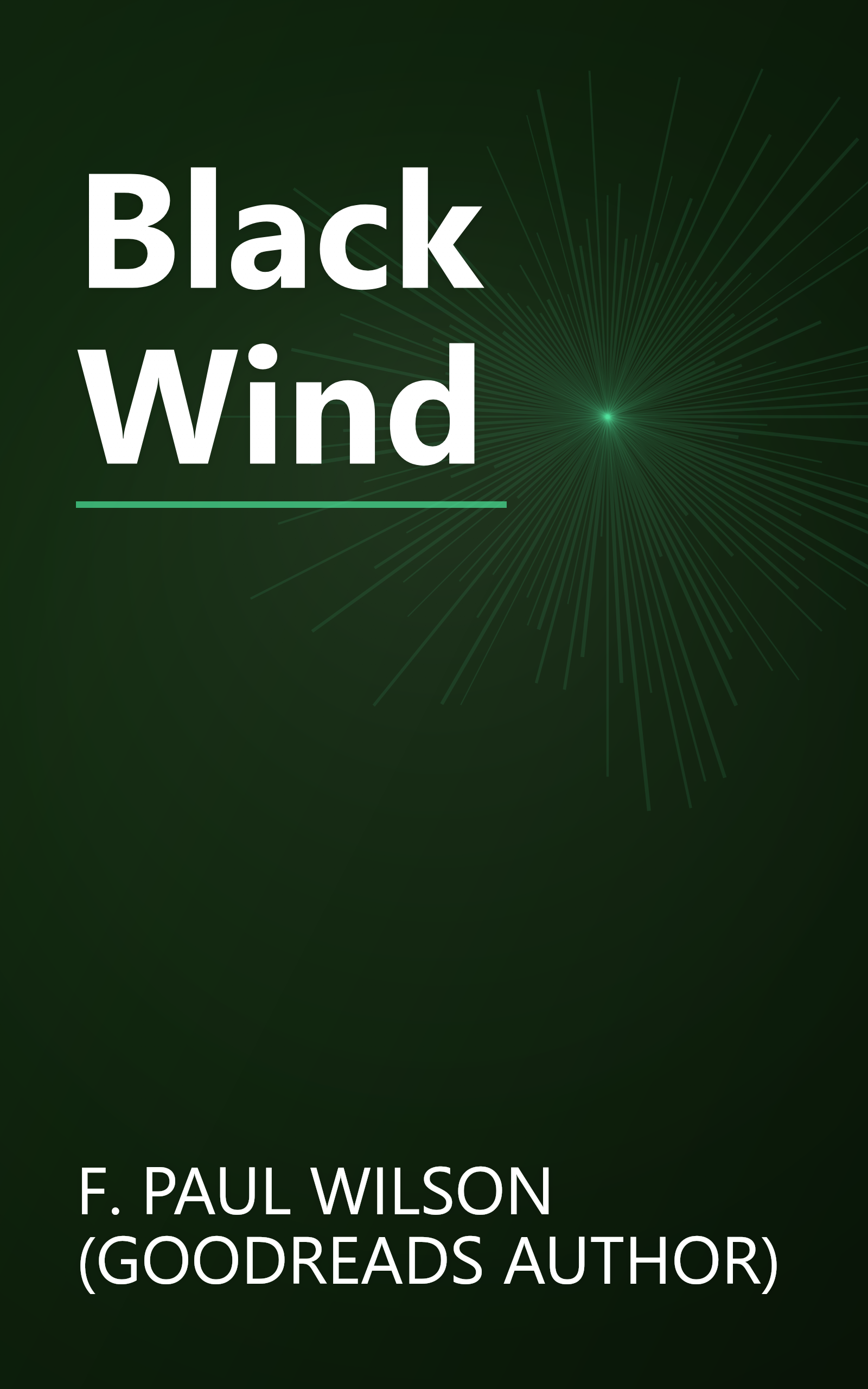 Black Wind book cover