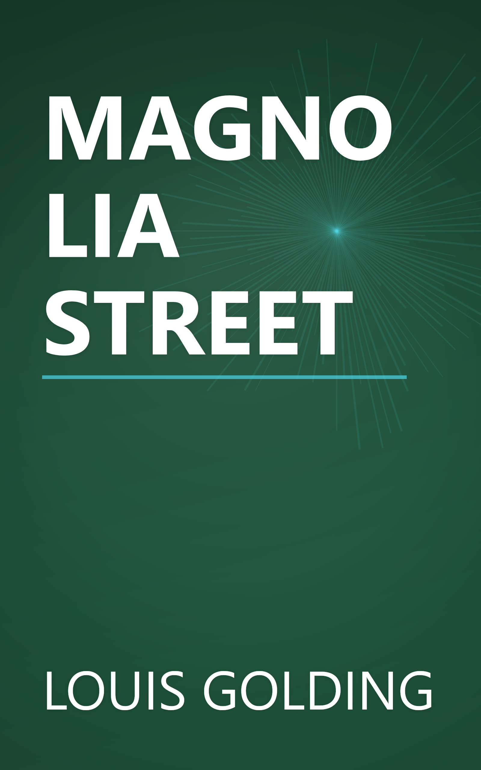 MAGNOLIA STREET book cover