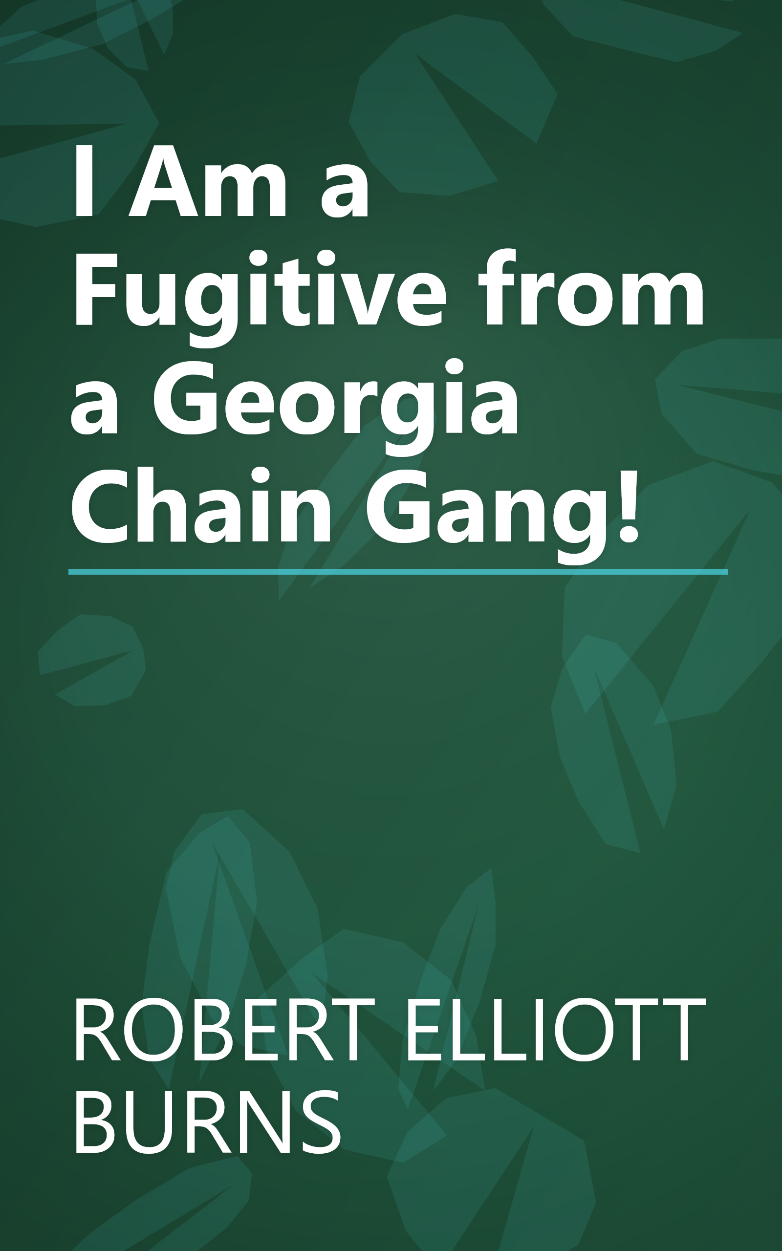 I Am a Fugitive from a Georgia Chain Gang! book cover