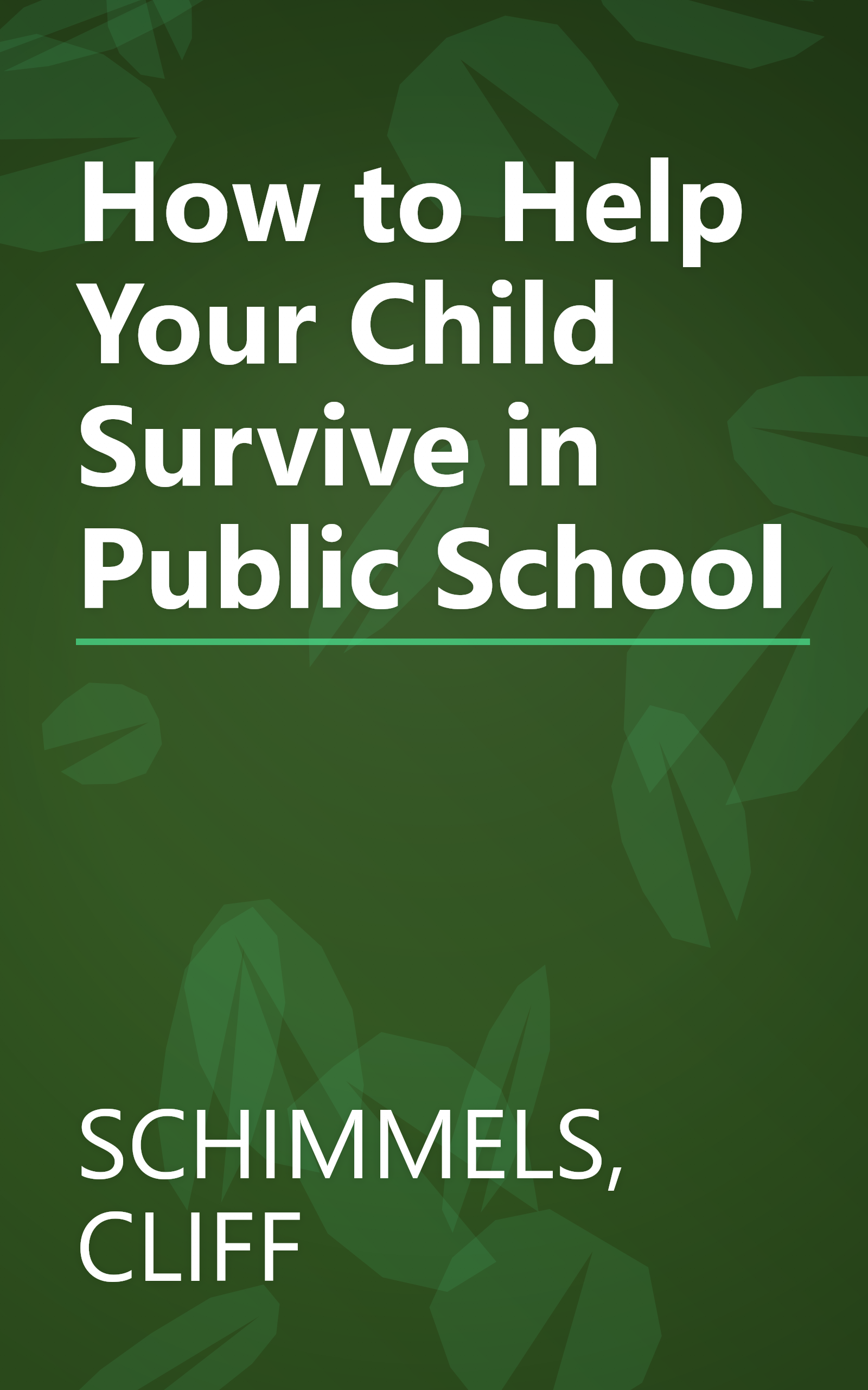 How to Help Your Child Survive in Public School book cover
