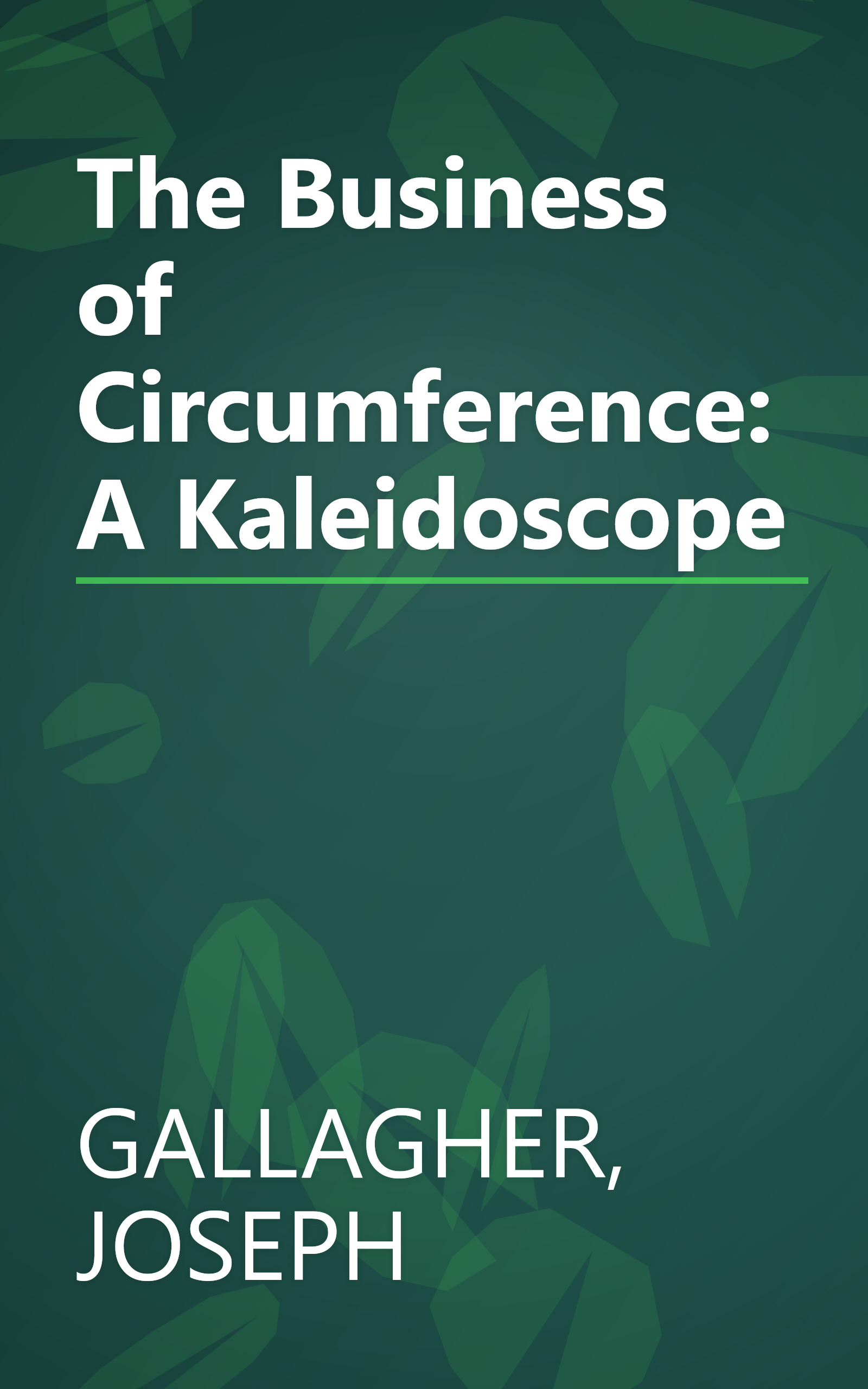 The Business of Circumference: A Kaleidoscope book cover