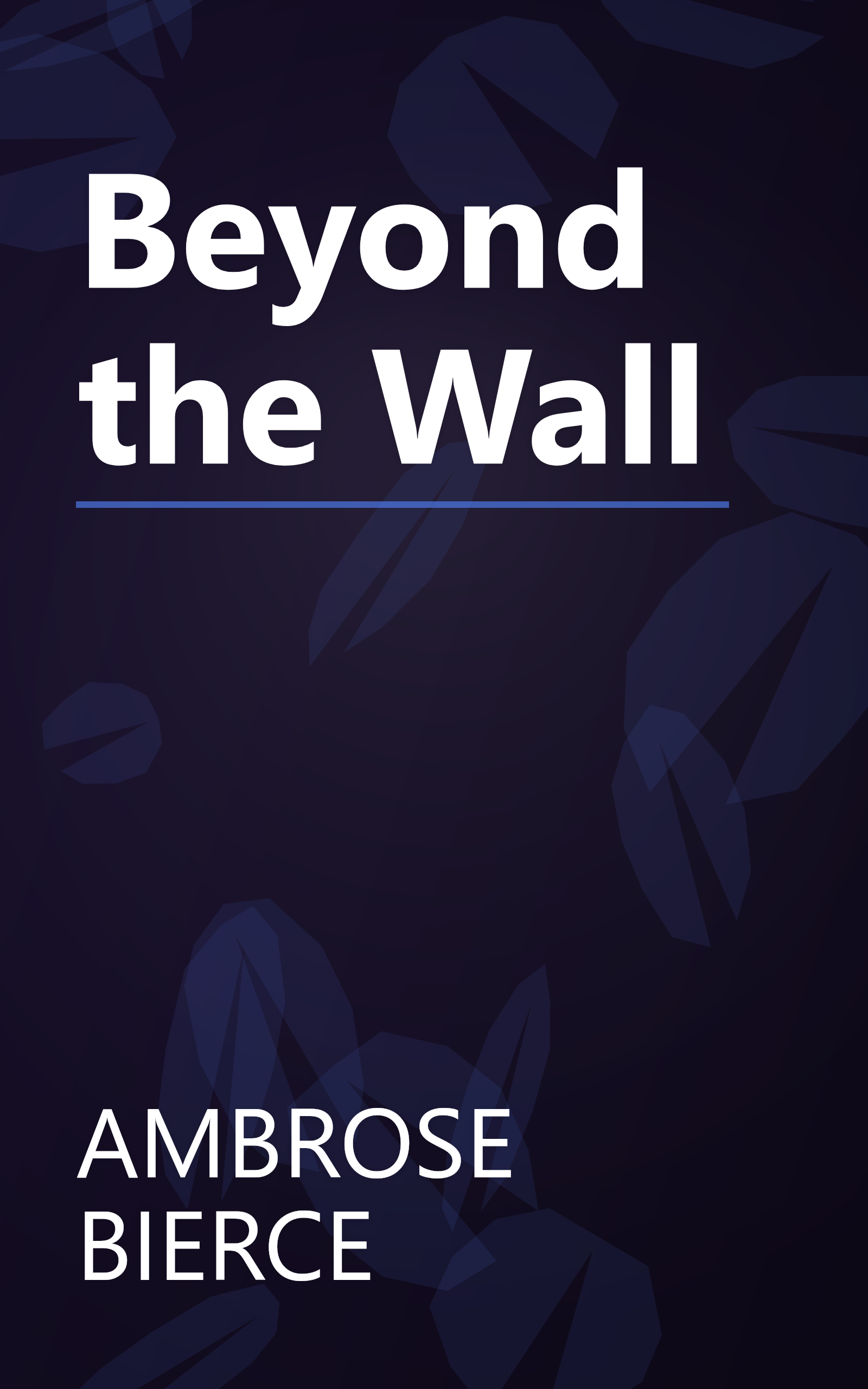 Beyond the Wall book cover