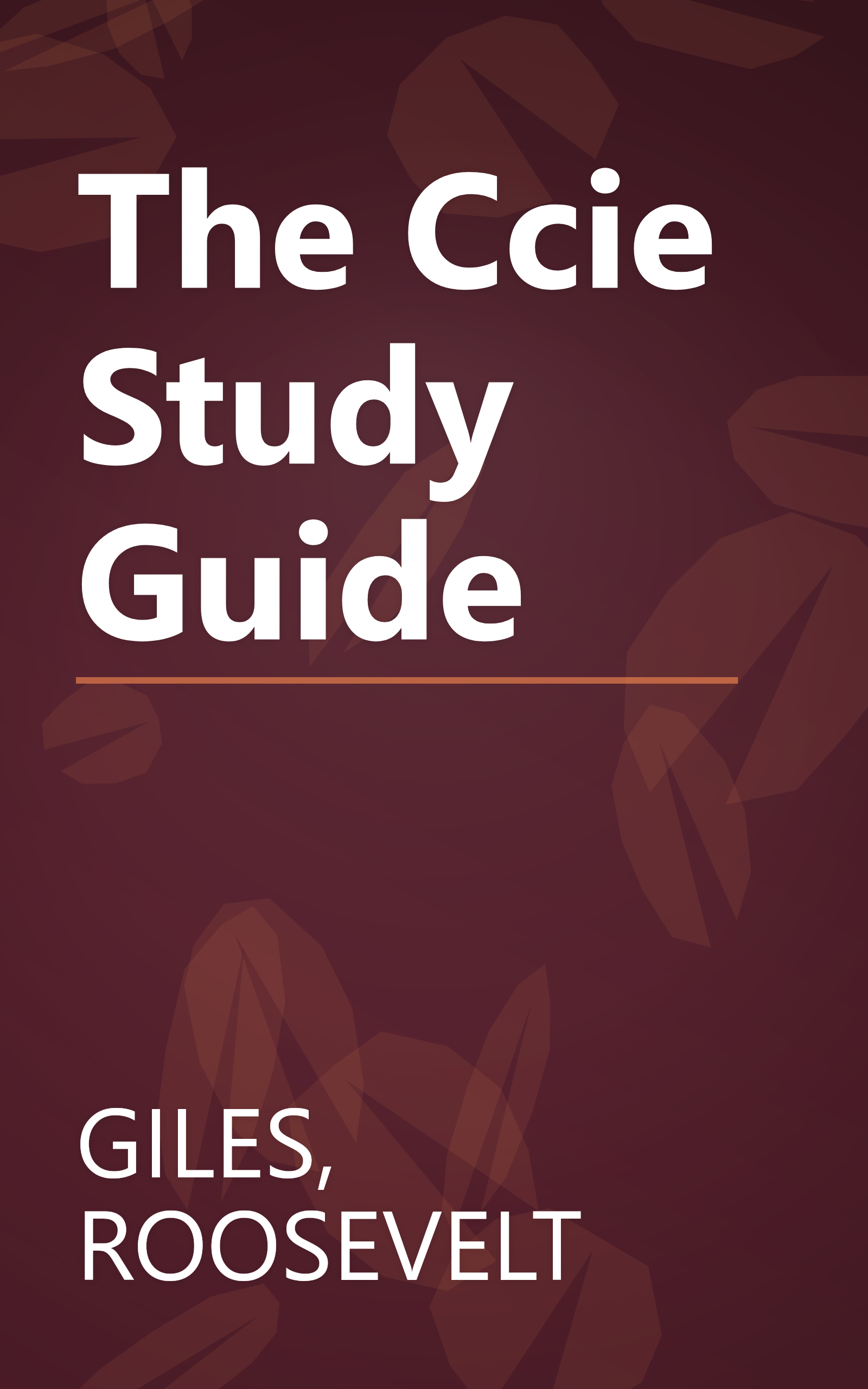 The Ccie Study Guide book cover