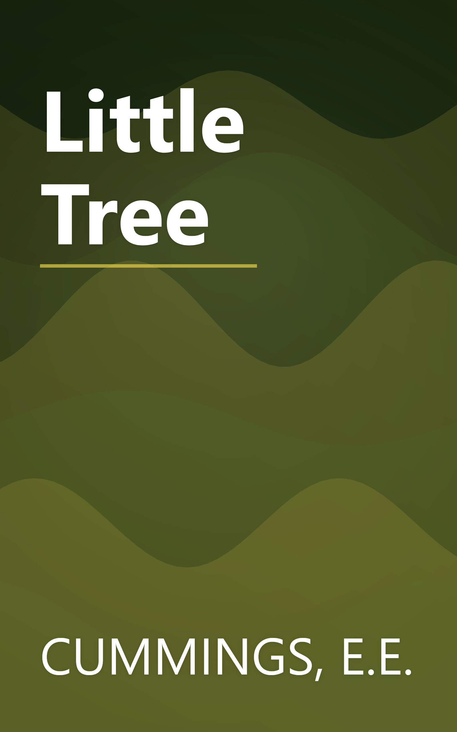 Little Tree book cover