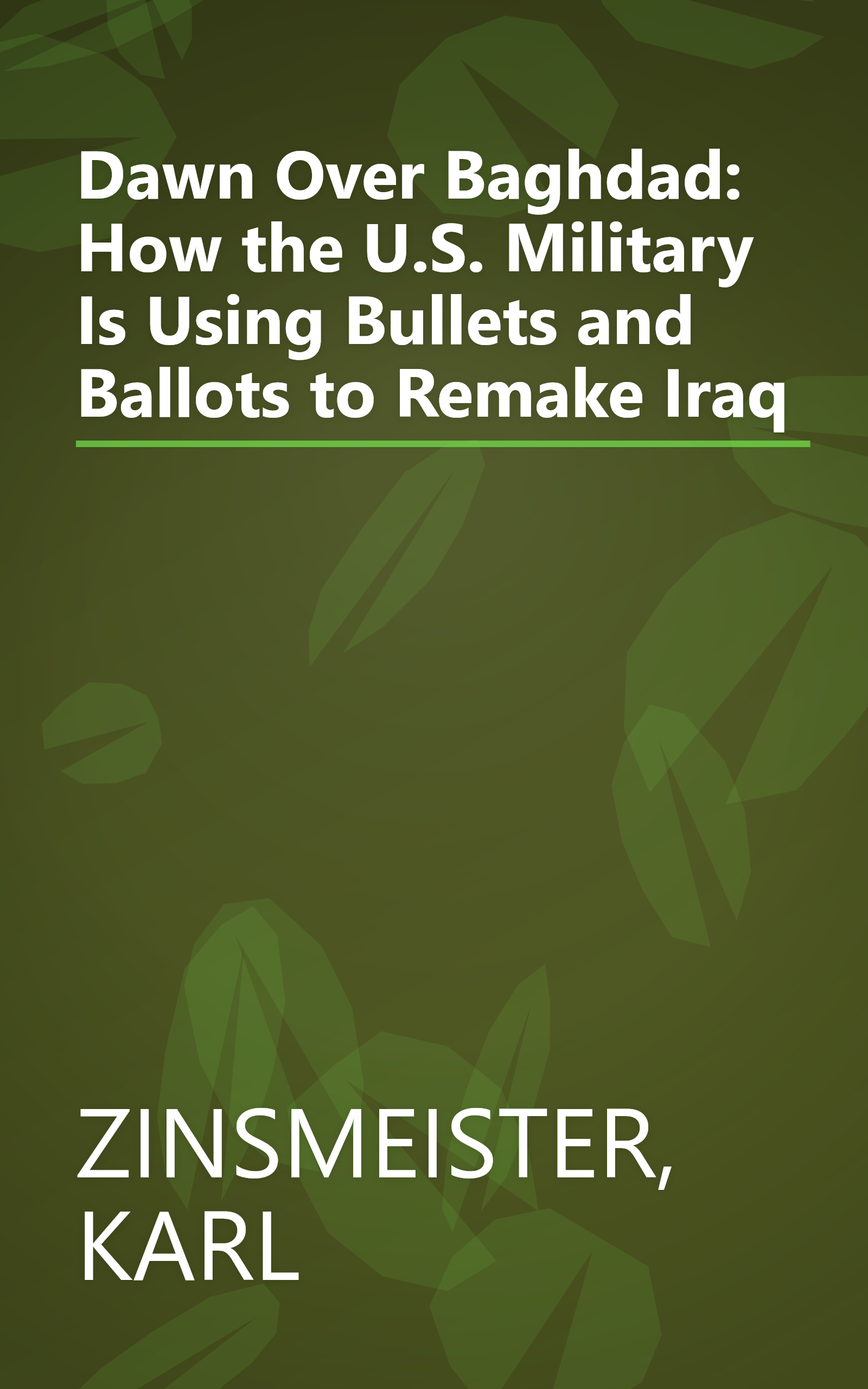 Dawn Over Baghdad: How the U.S. Military Is Using Bullets and Ballots to Remake Iraq book cover