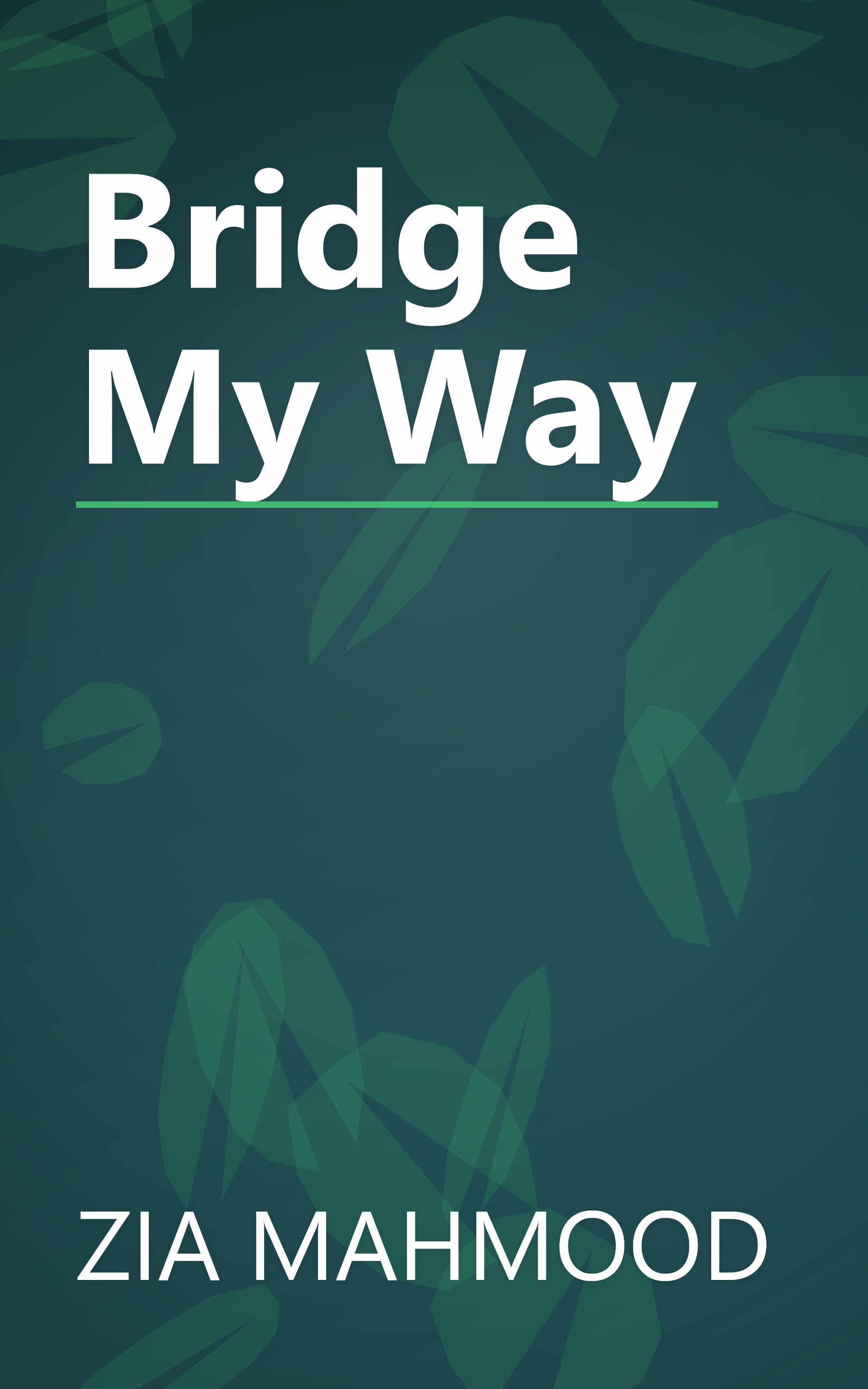 Bridge My Way book cover