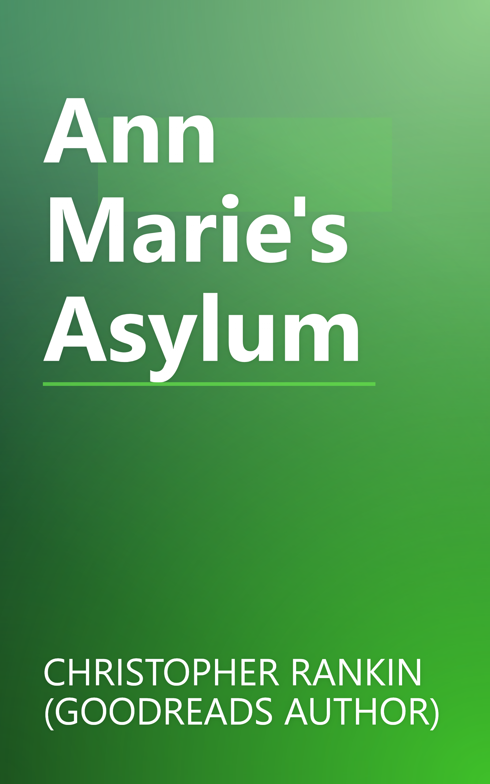 Ann Marie's Asylum book cover
