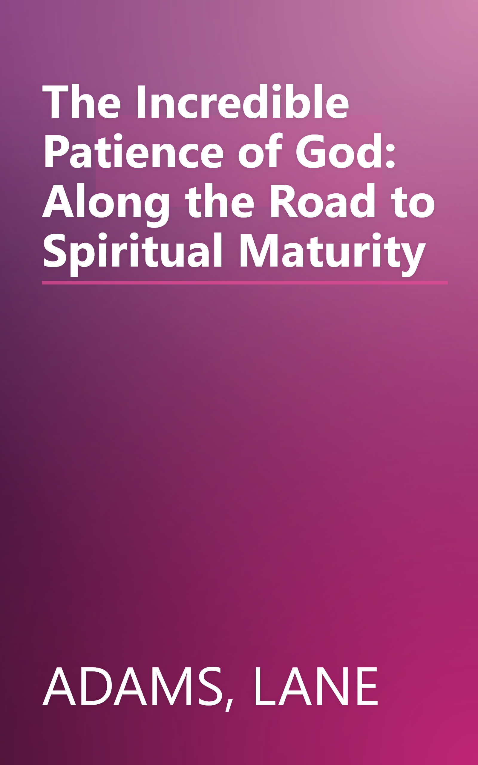 The Incredible Patience of God: Along the Road to Spiritual Maturity book cover