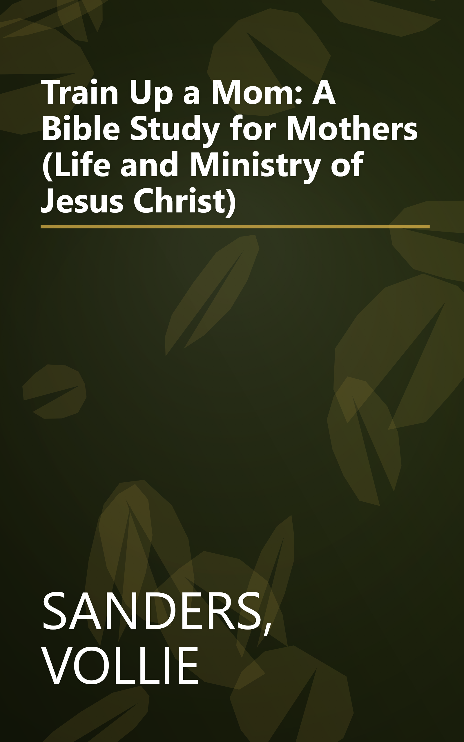 Train Up a Mom: A Bible Study for Mothers (Life and Ministry of Jesus Christ) book cover