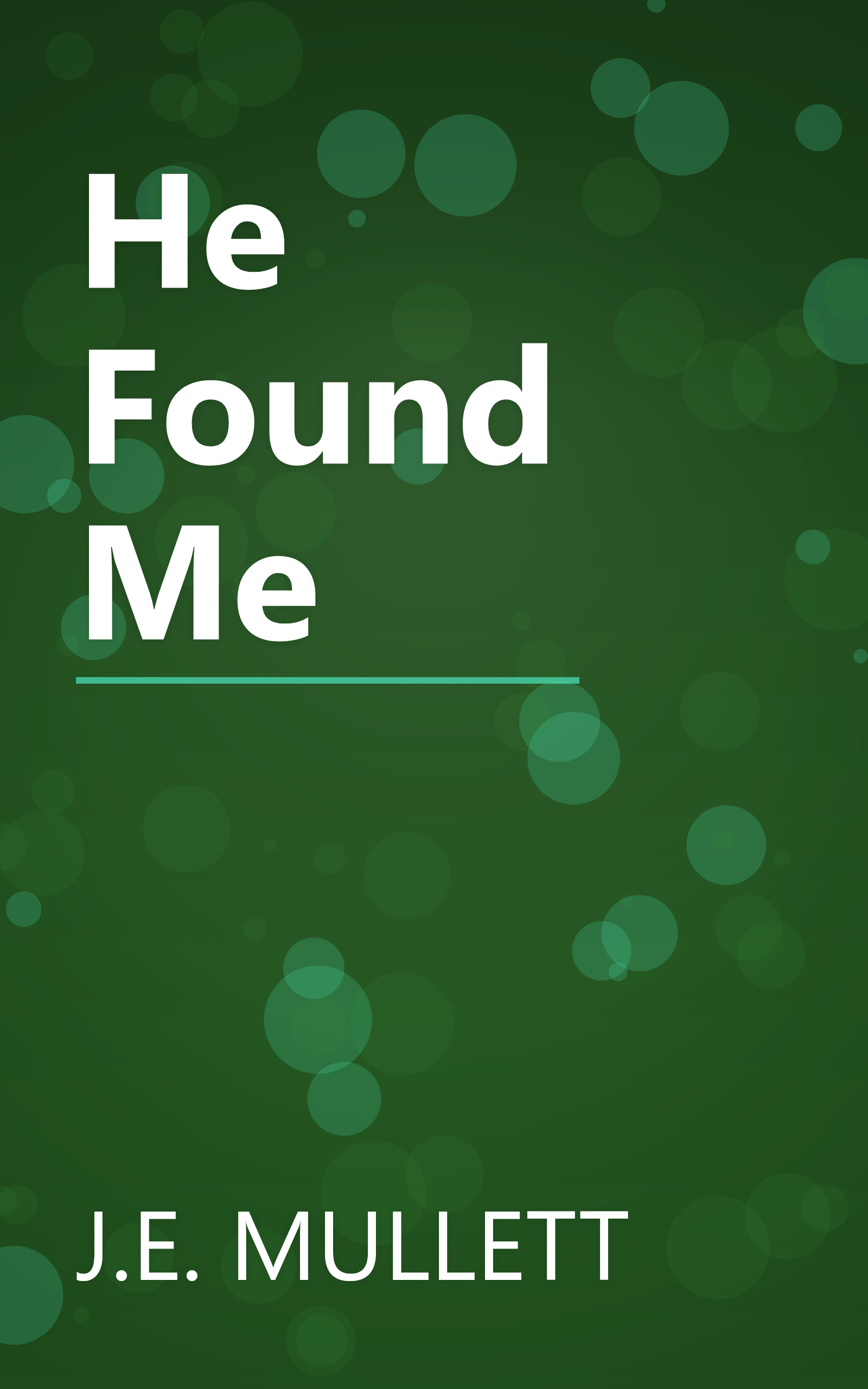 He Found Me book cover