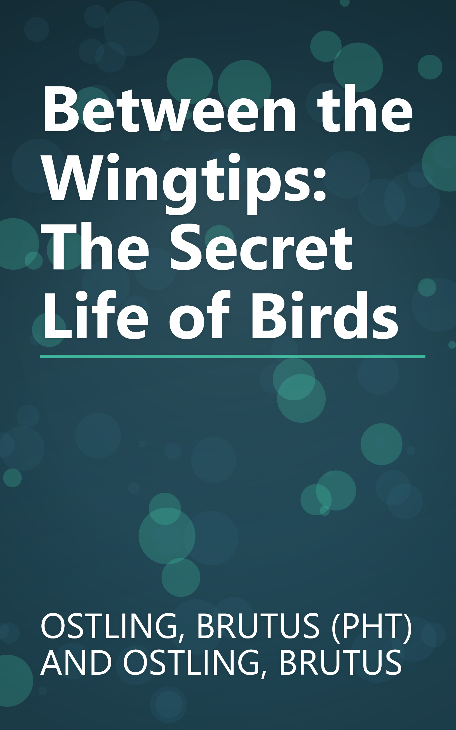 Between the Wingtips: The Secret Life of Birds book cover