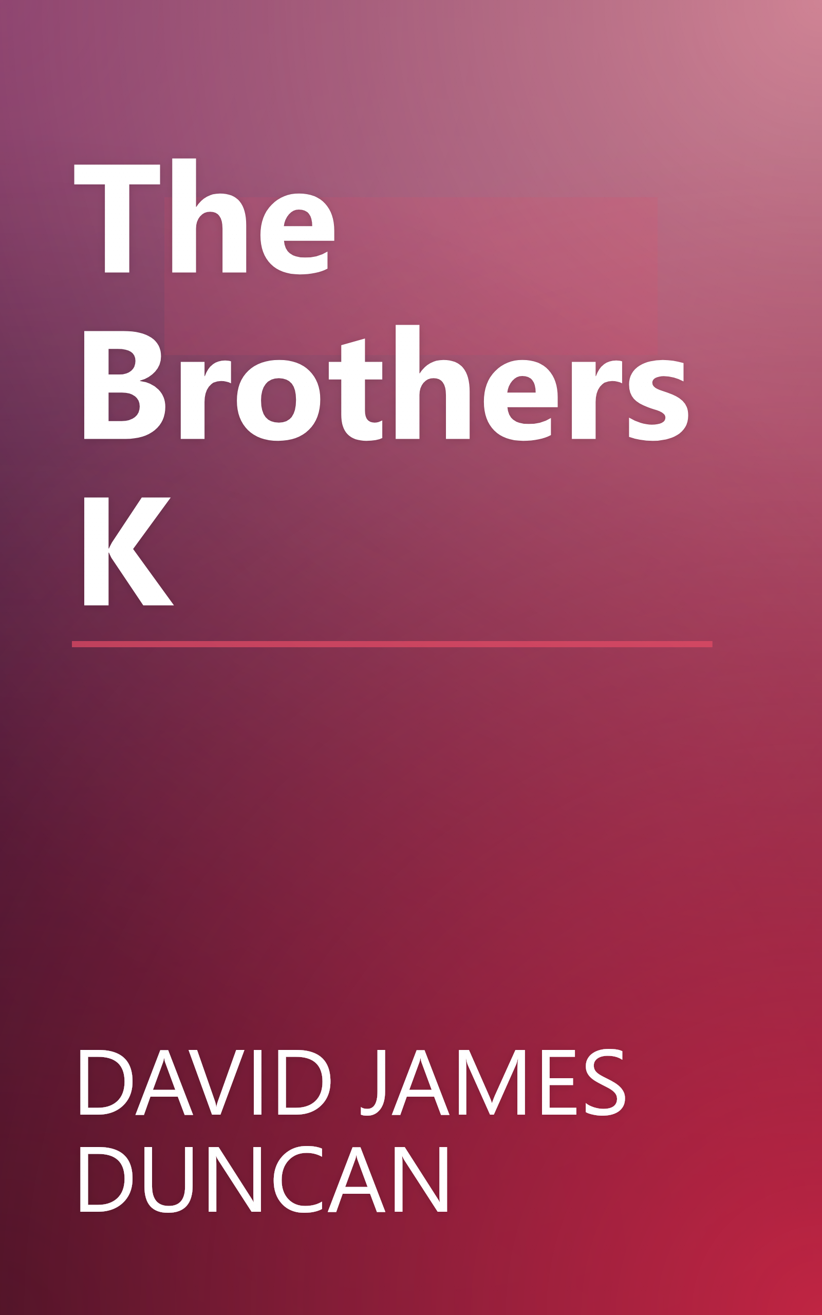 The Brothers K book cover