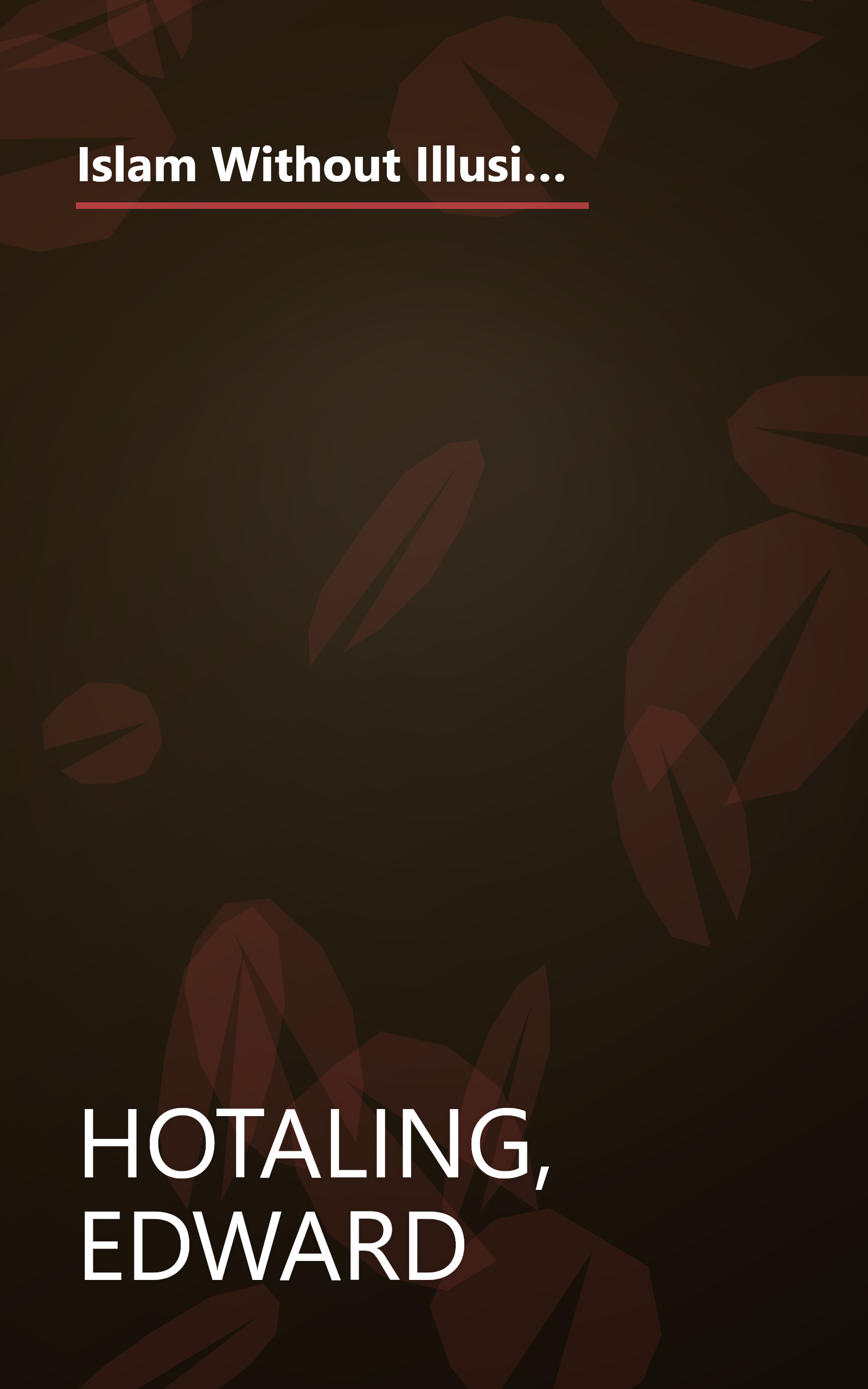 Islam Without Illusions: Its Past, Its Present, and Its Challenge for the Future (Contemporary Issues in the Middle East) book cover