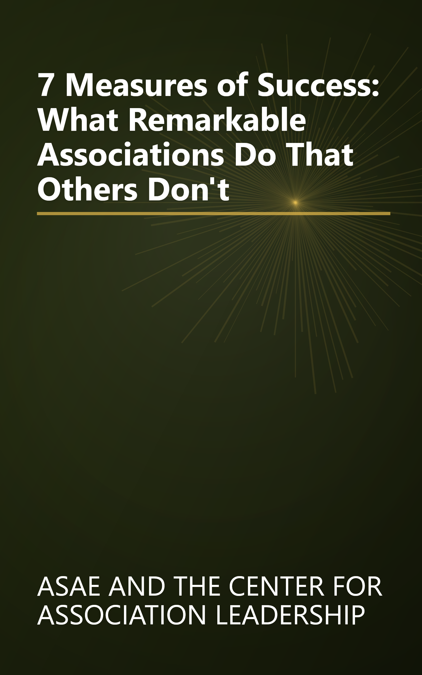 7 Measures of Success: What Remarkable Associations Do That Others Don't book cover