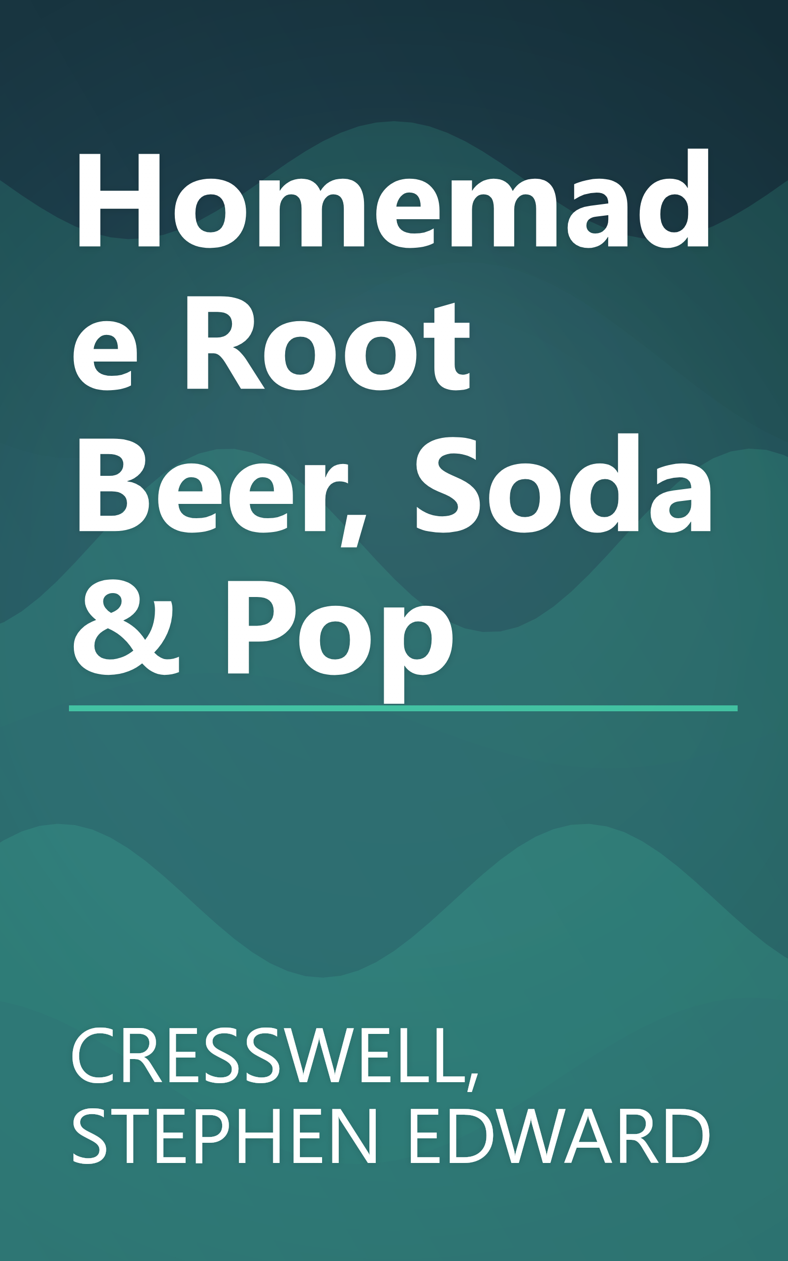 Homemade Root Beer, Soda & Pop book cover