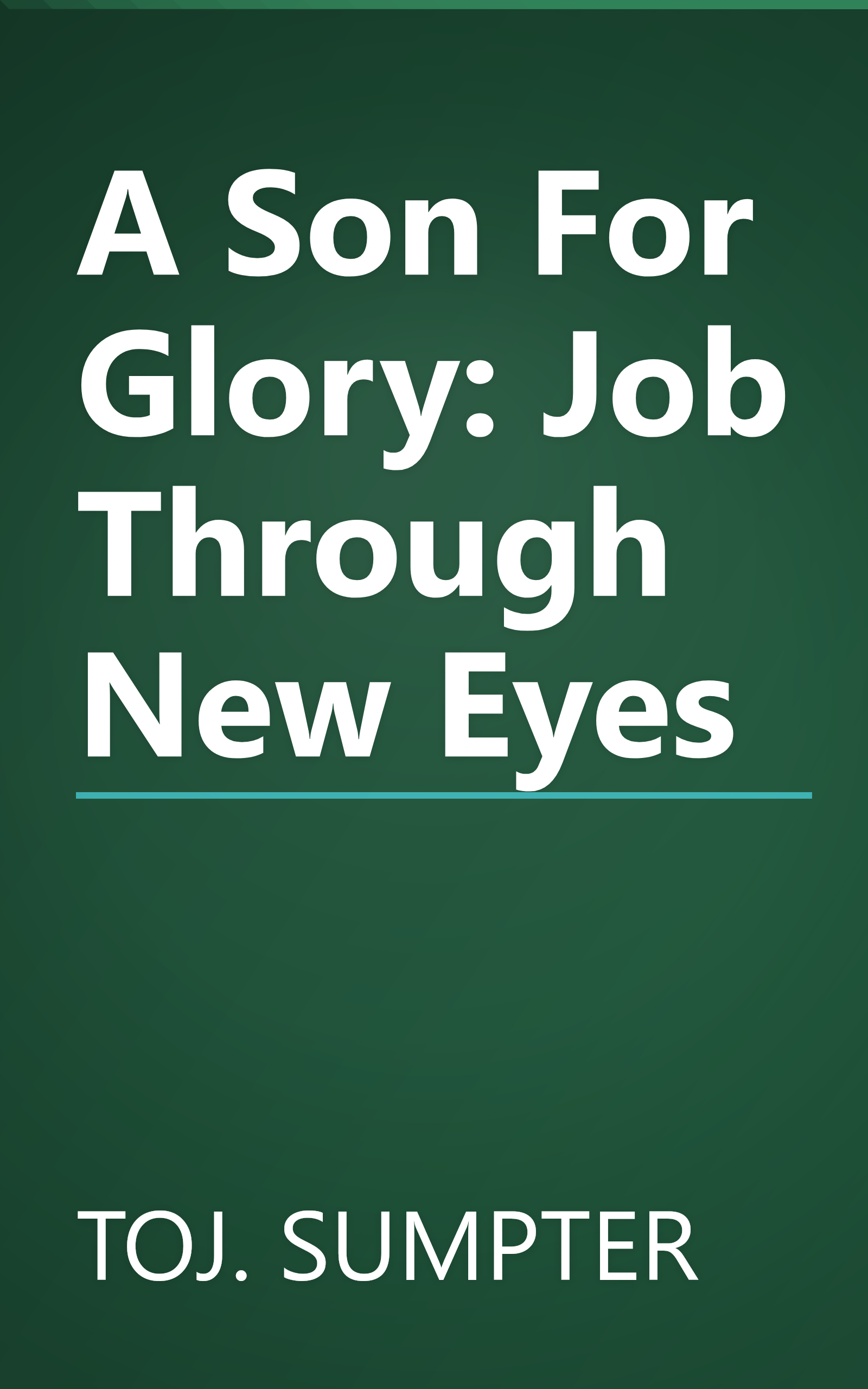 A Son For Glory: Job Through New Eyes book cover
