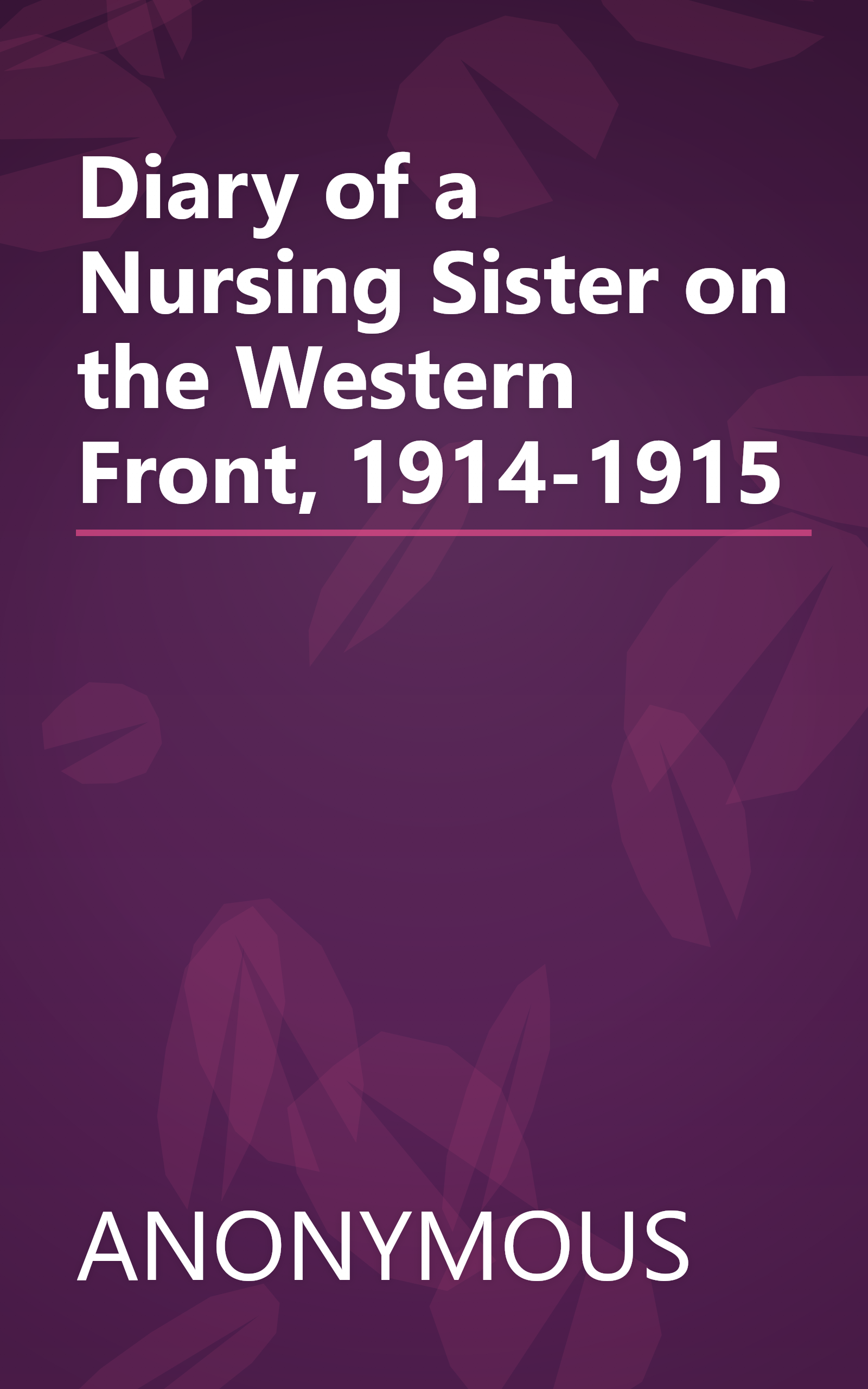 Diary of a Nursing Sister on the Western Front, 1914-1915 book cover