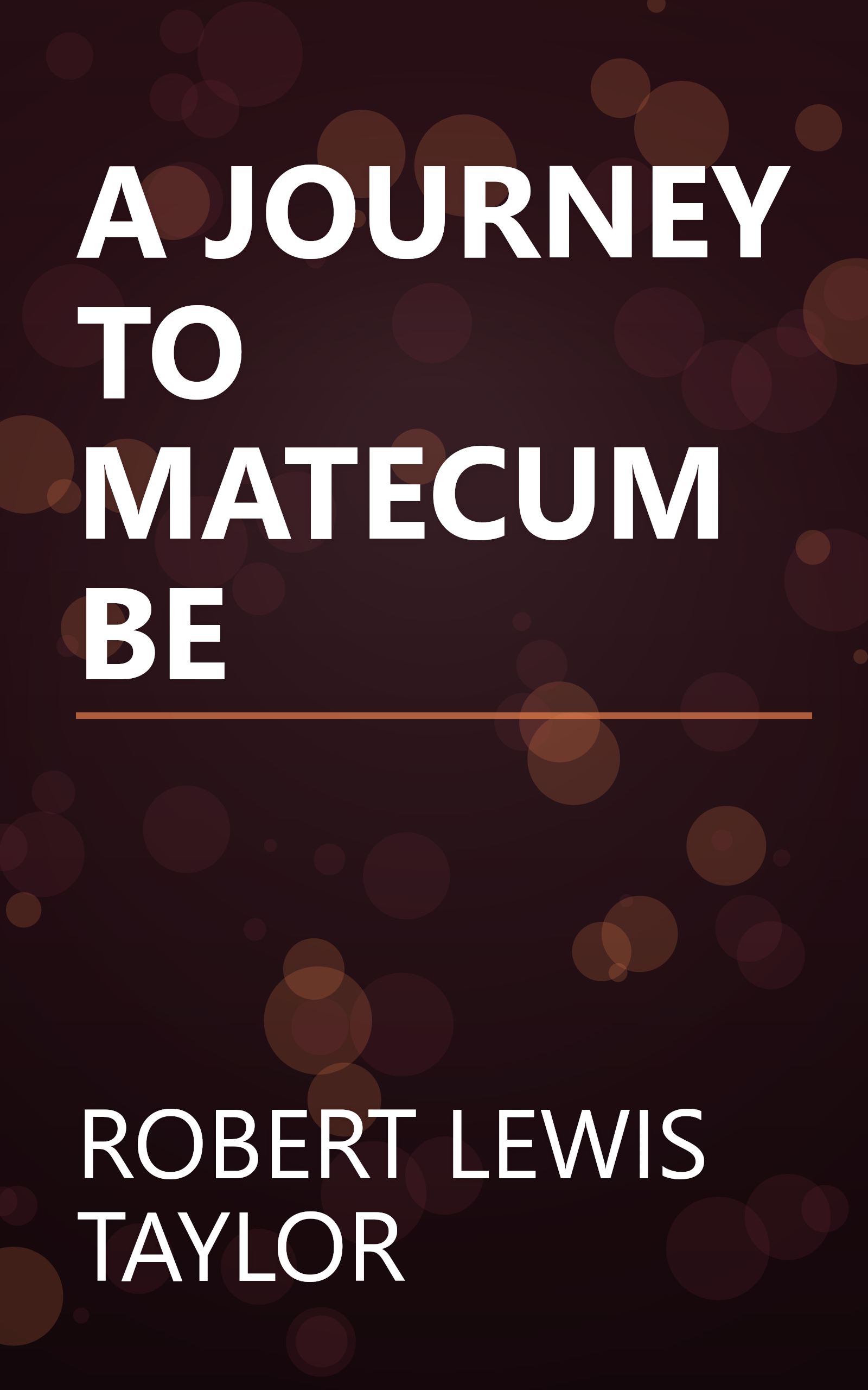 A JOURNEY TO MATECUMBE book cover