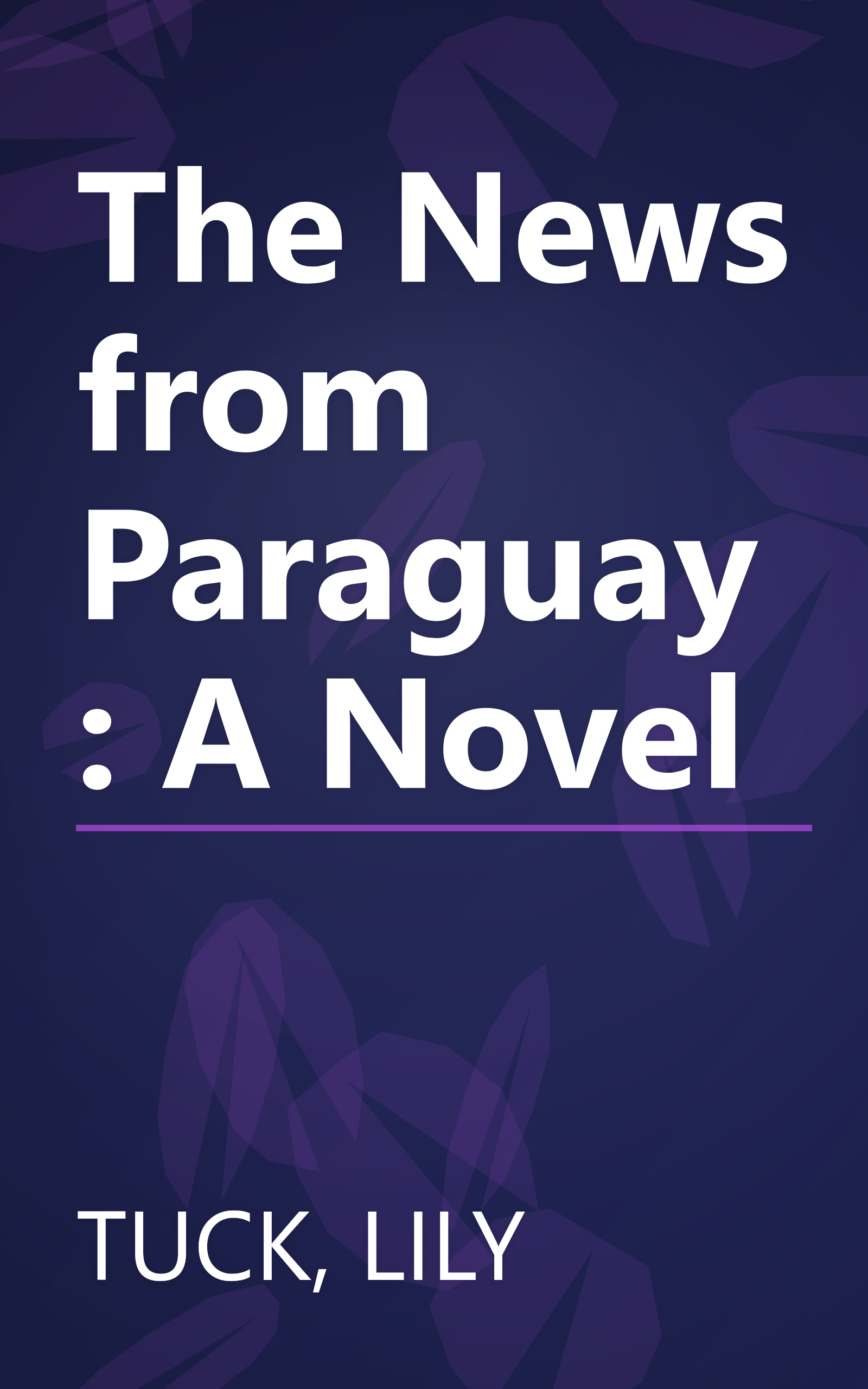 The News from Paraguay: A Novel book cover