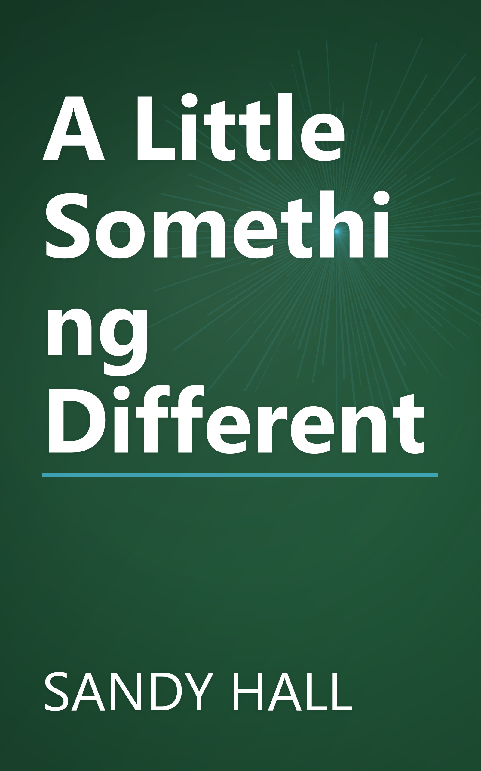 A Little Something Different book cover