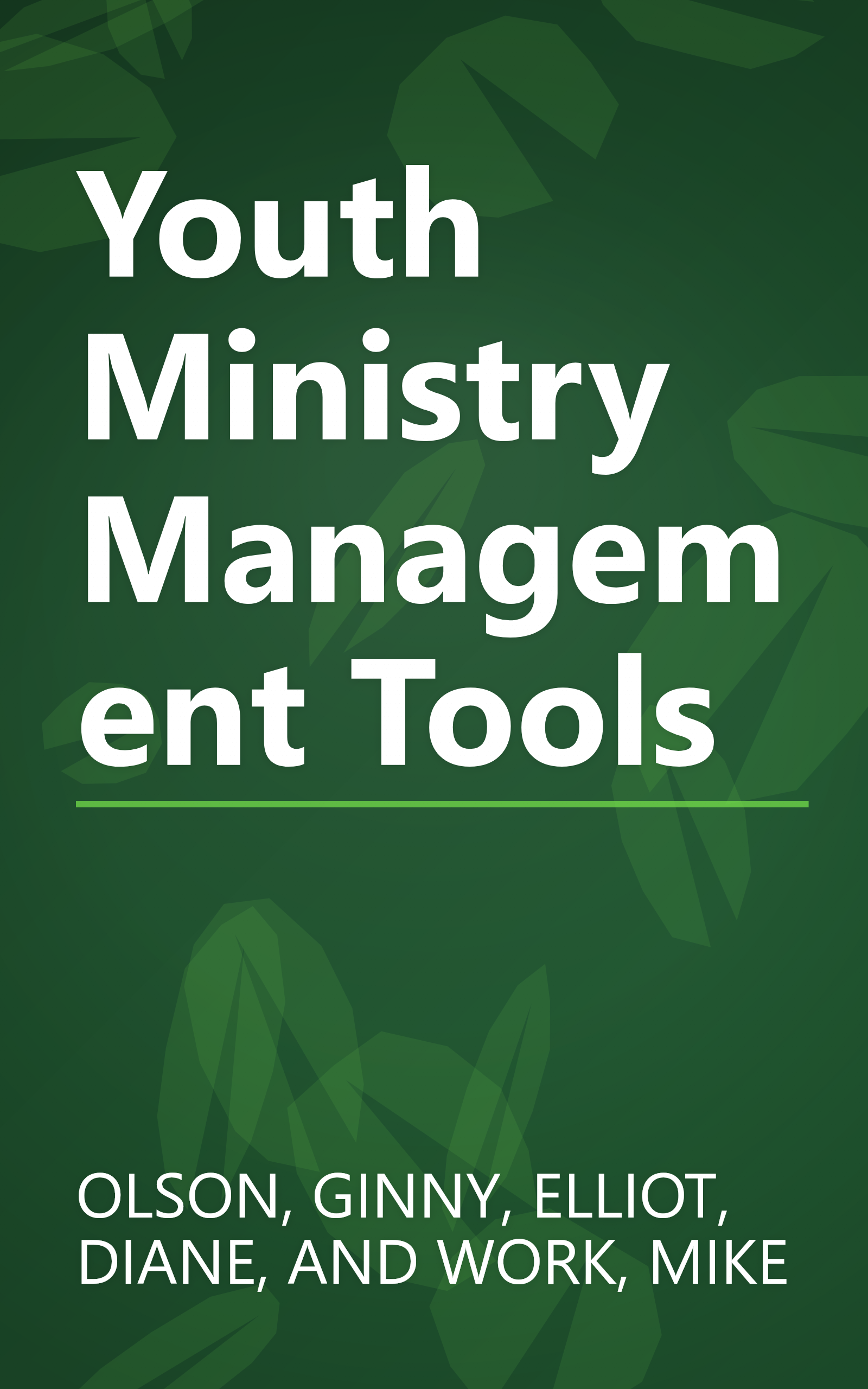 Youth Ministry Management Tools book cover