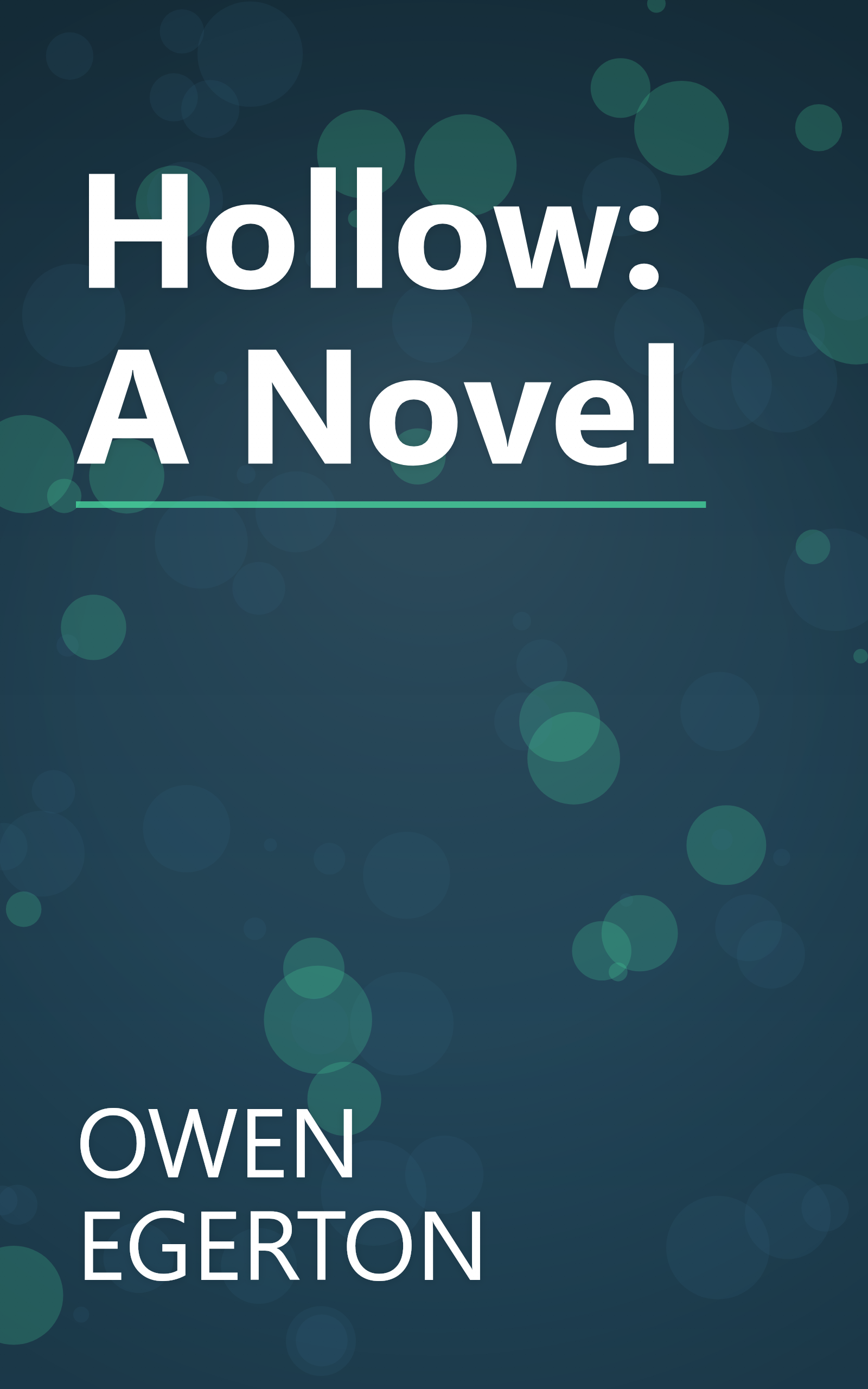 Hollow: A Novel book cover