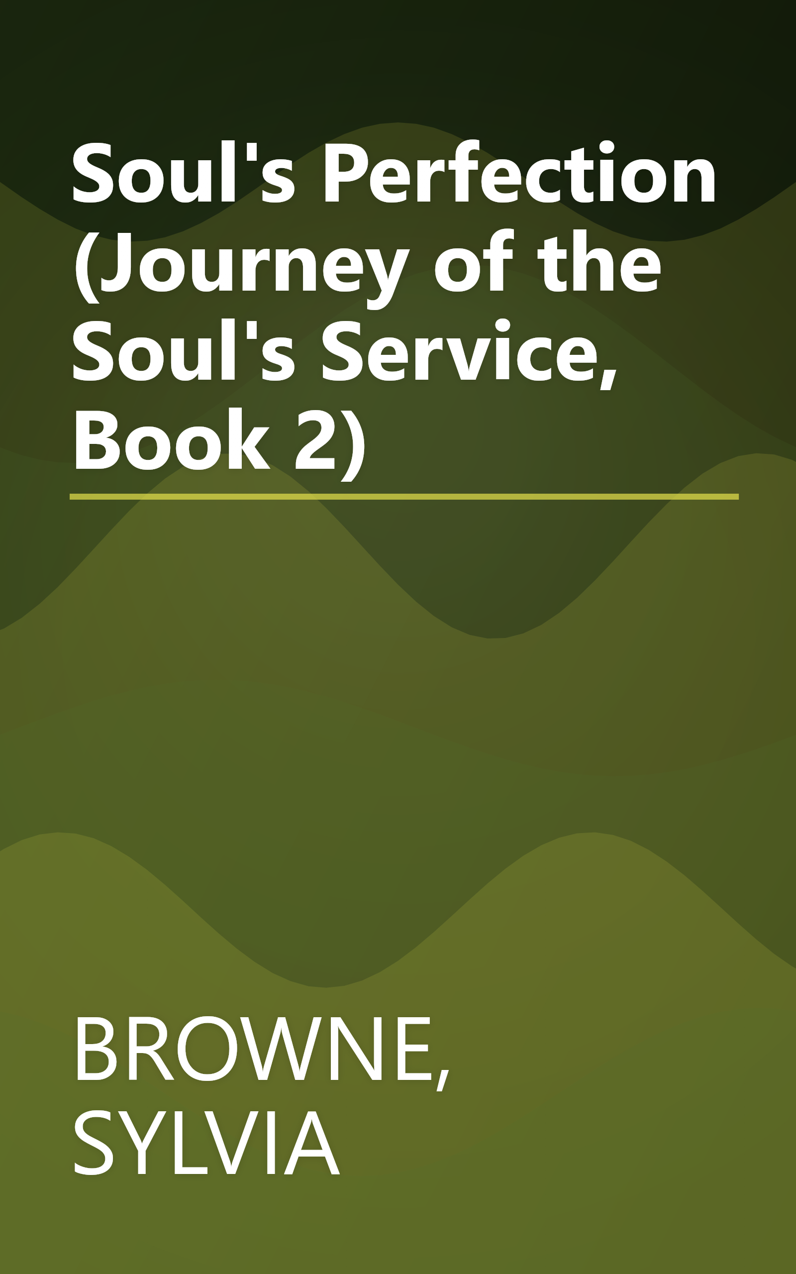 Soul's Perfection (Journey of the Soul's Service, Book 2) book cover