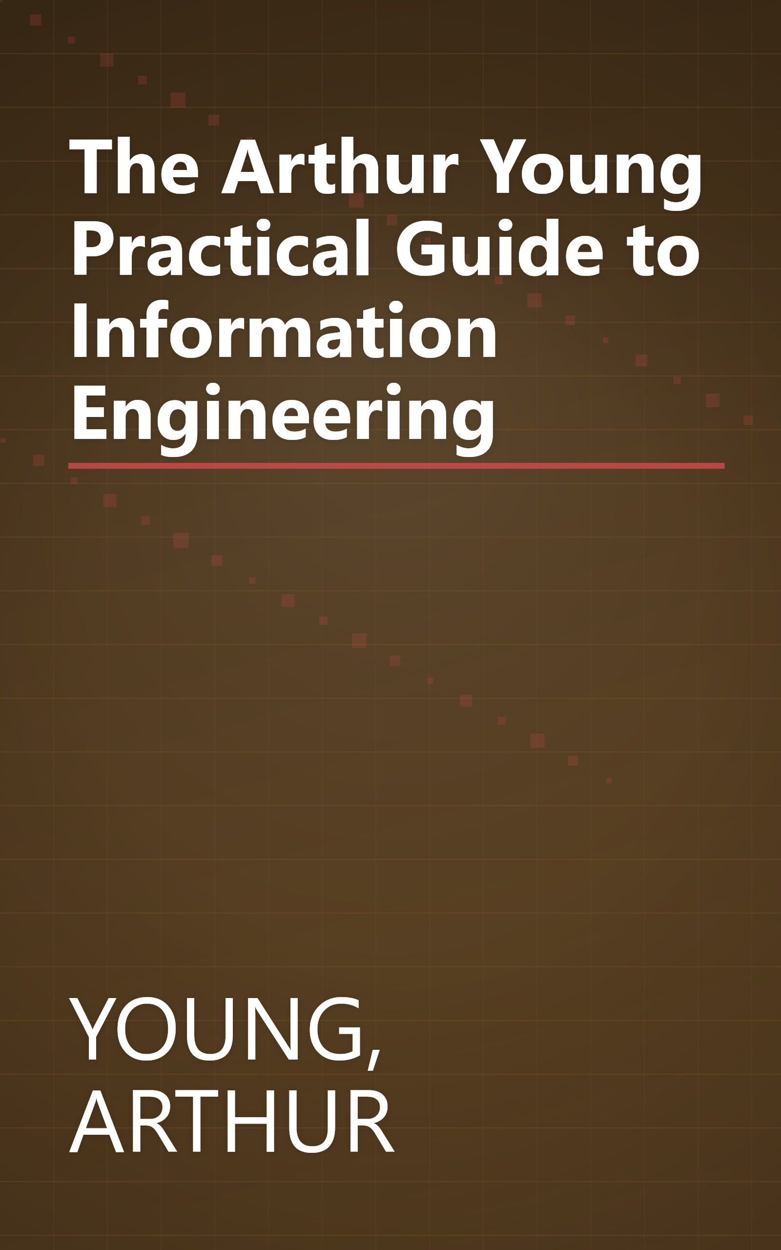 The Arthur Young Practical Guide to Information Engineering book cover