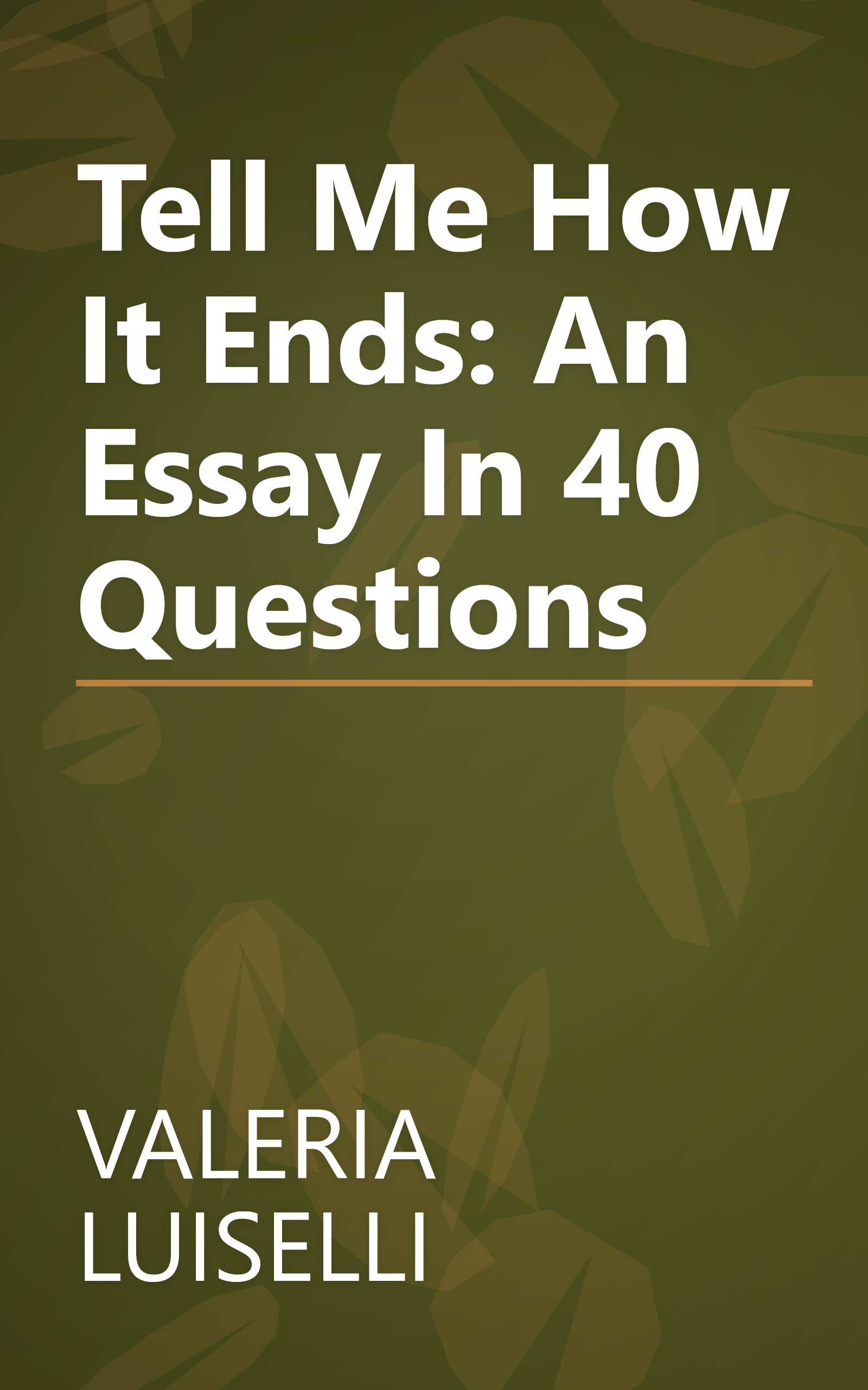 Tell Me How It Ends: An Essay In 40 Questions book cover